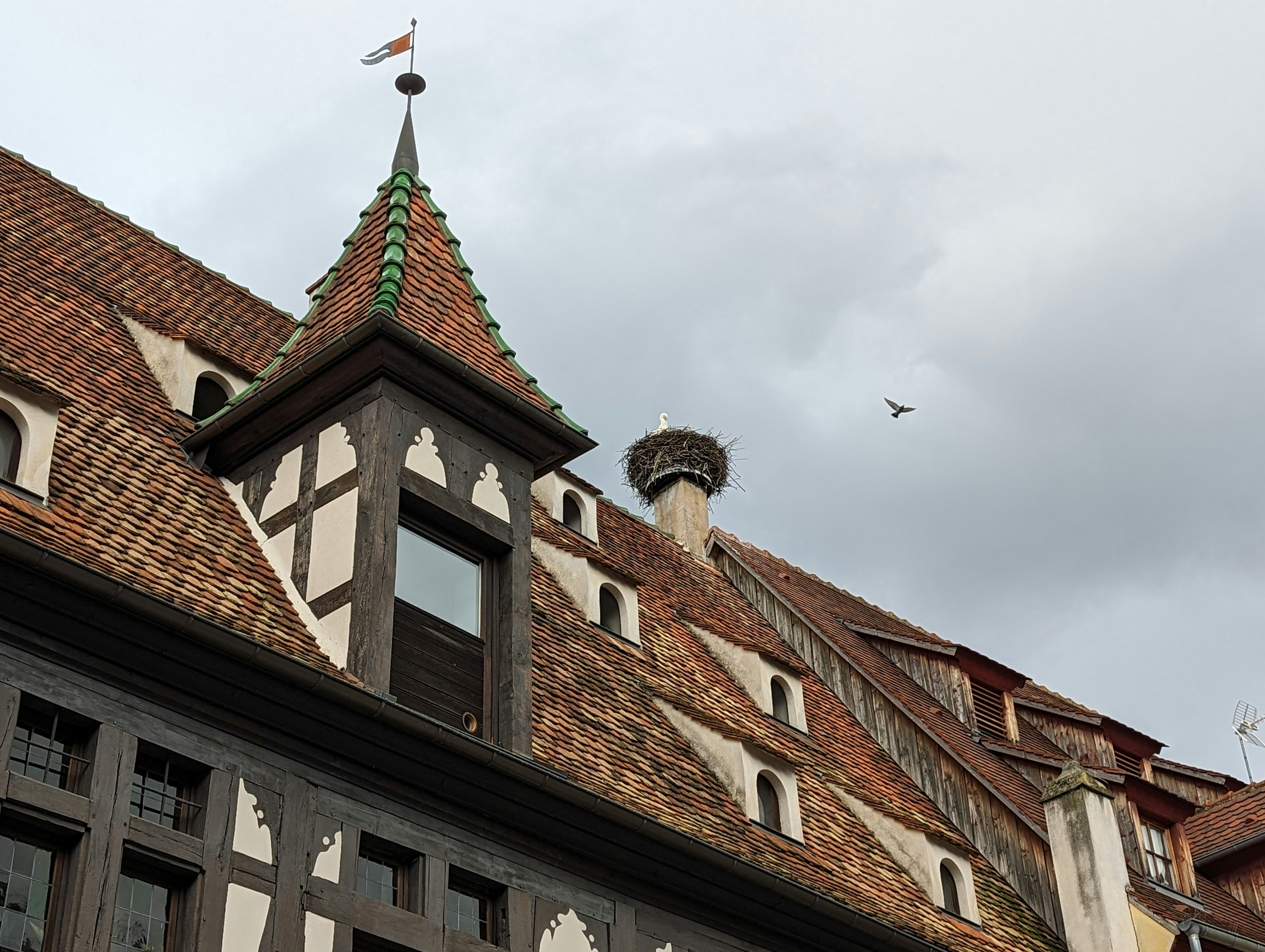 Obernai | Stork nest on a historic building rooftop