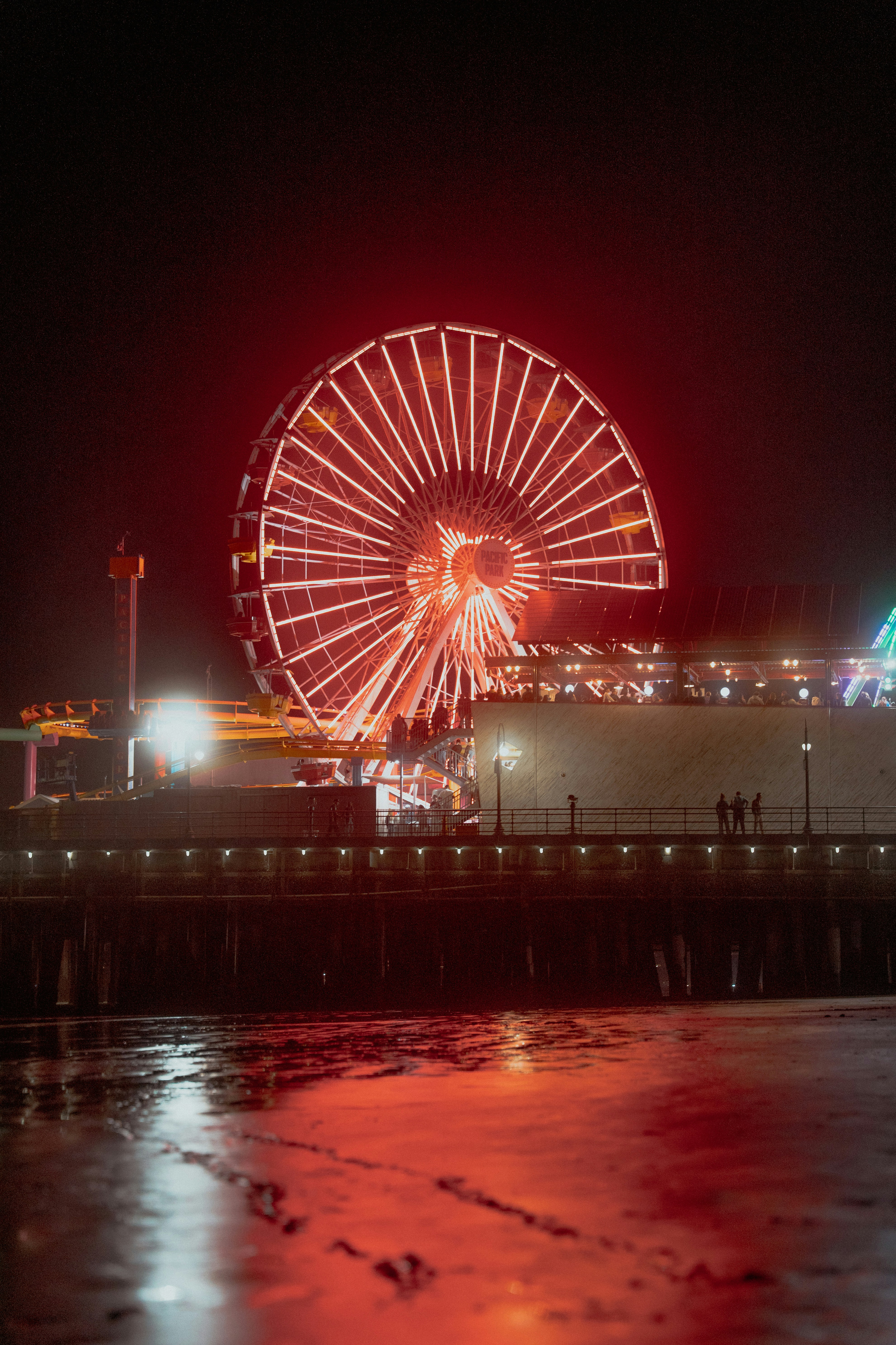 Neon Whirls of Nighttime JoyNiklas Kiehl