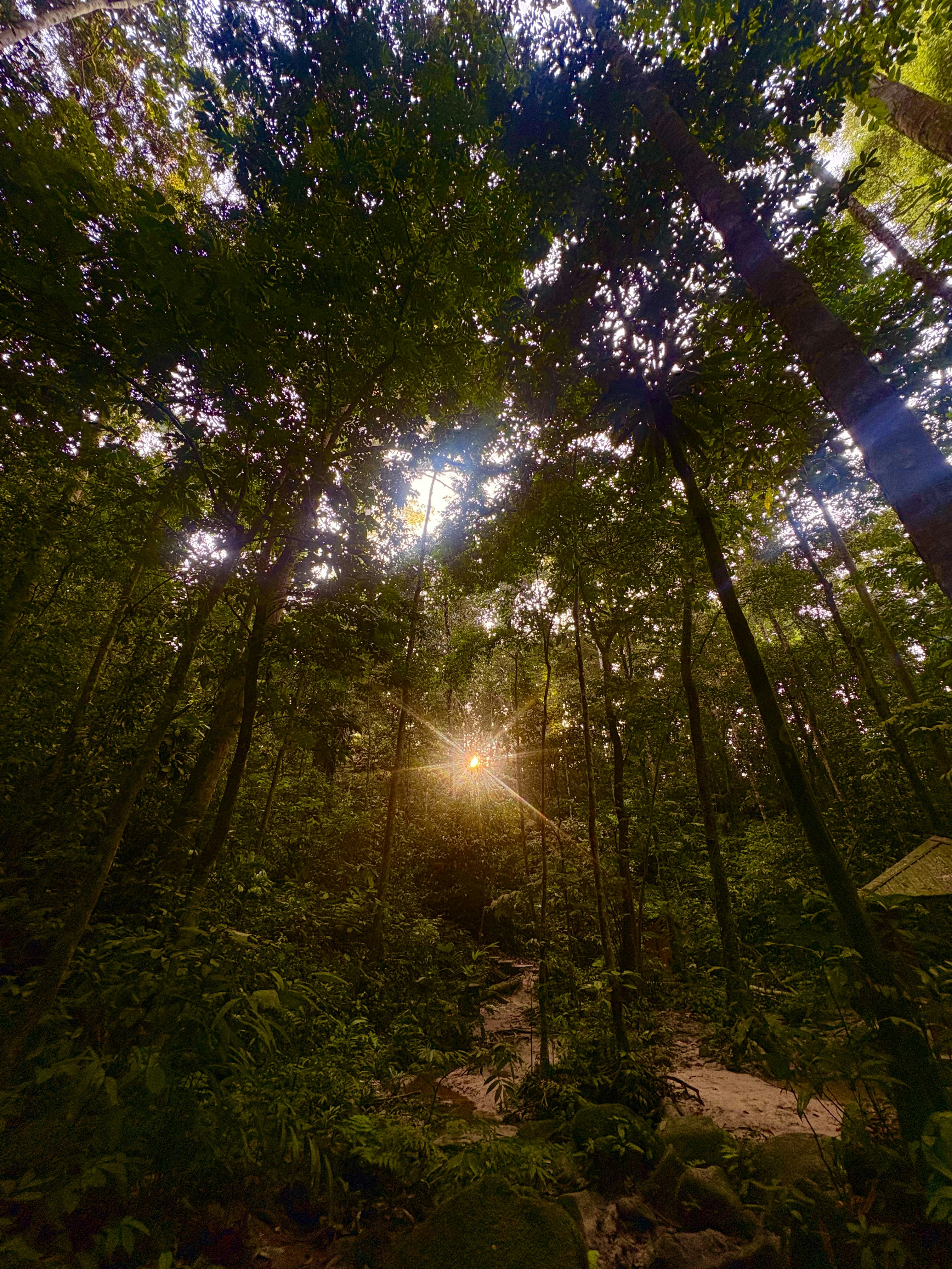 CAG (@cagstudio) | Comunidade de fotos da Unsplash