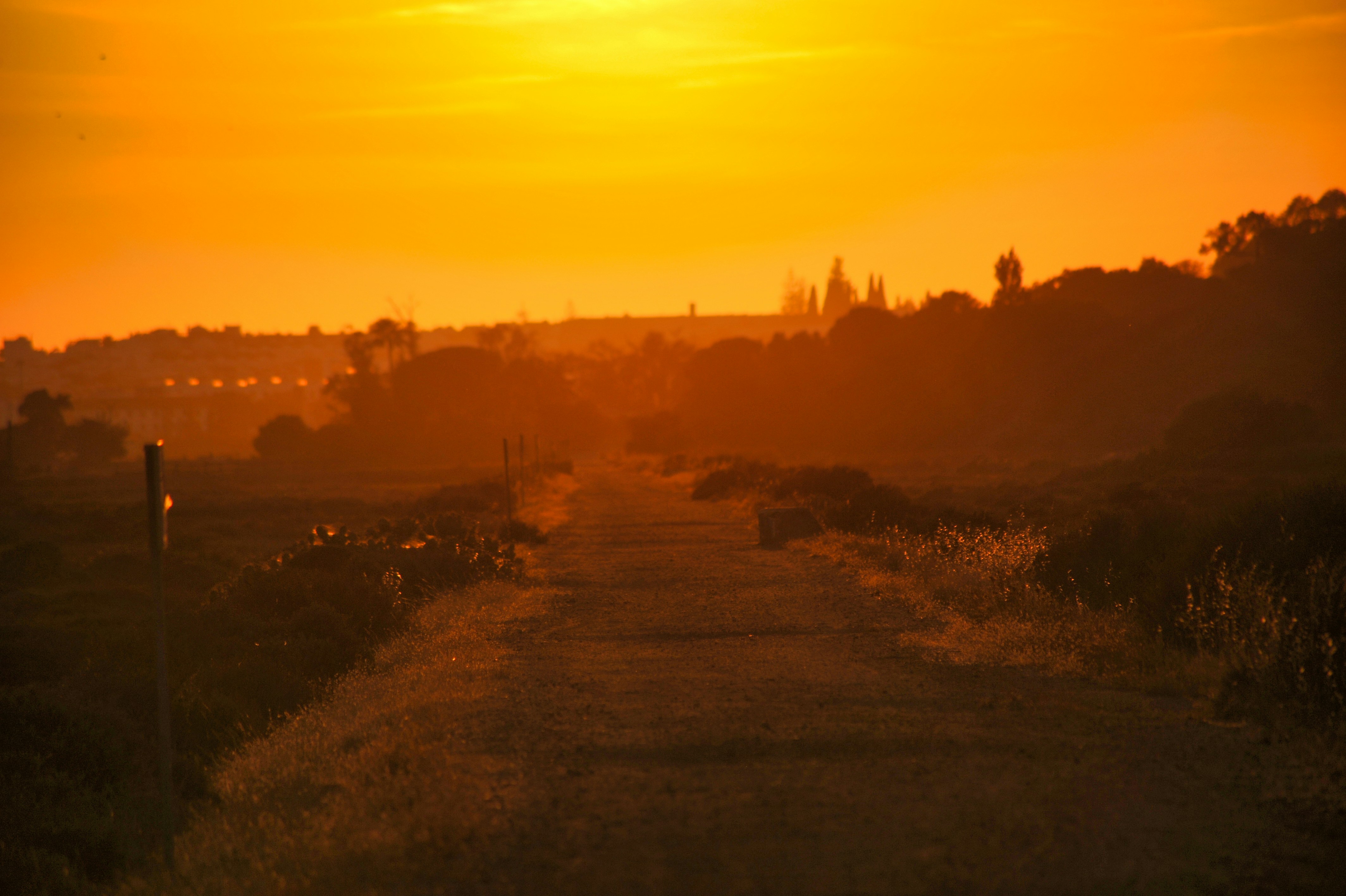 Golden Path: A Dusk-Lit Rural Trail Toward a Distant Horizon