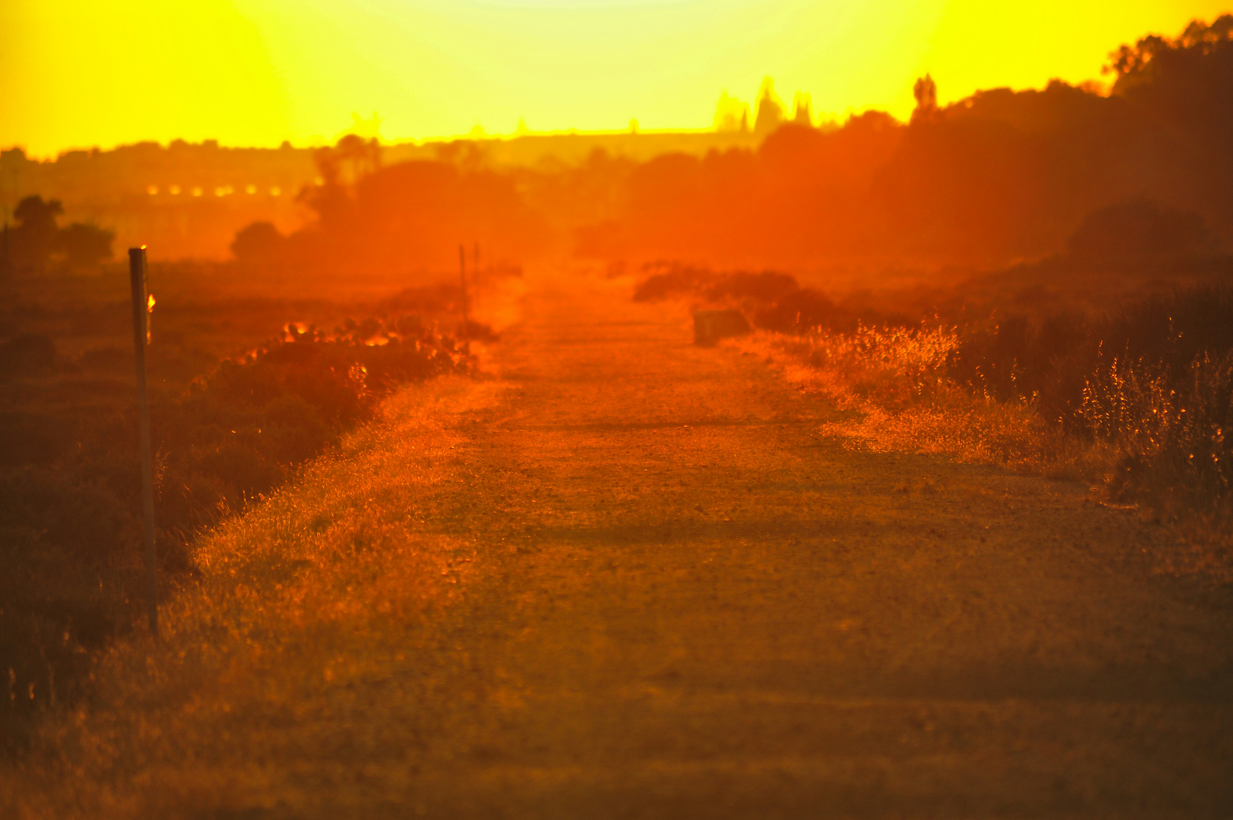 Golden Pathway Through the Horizon