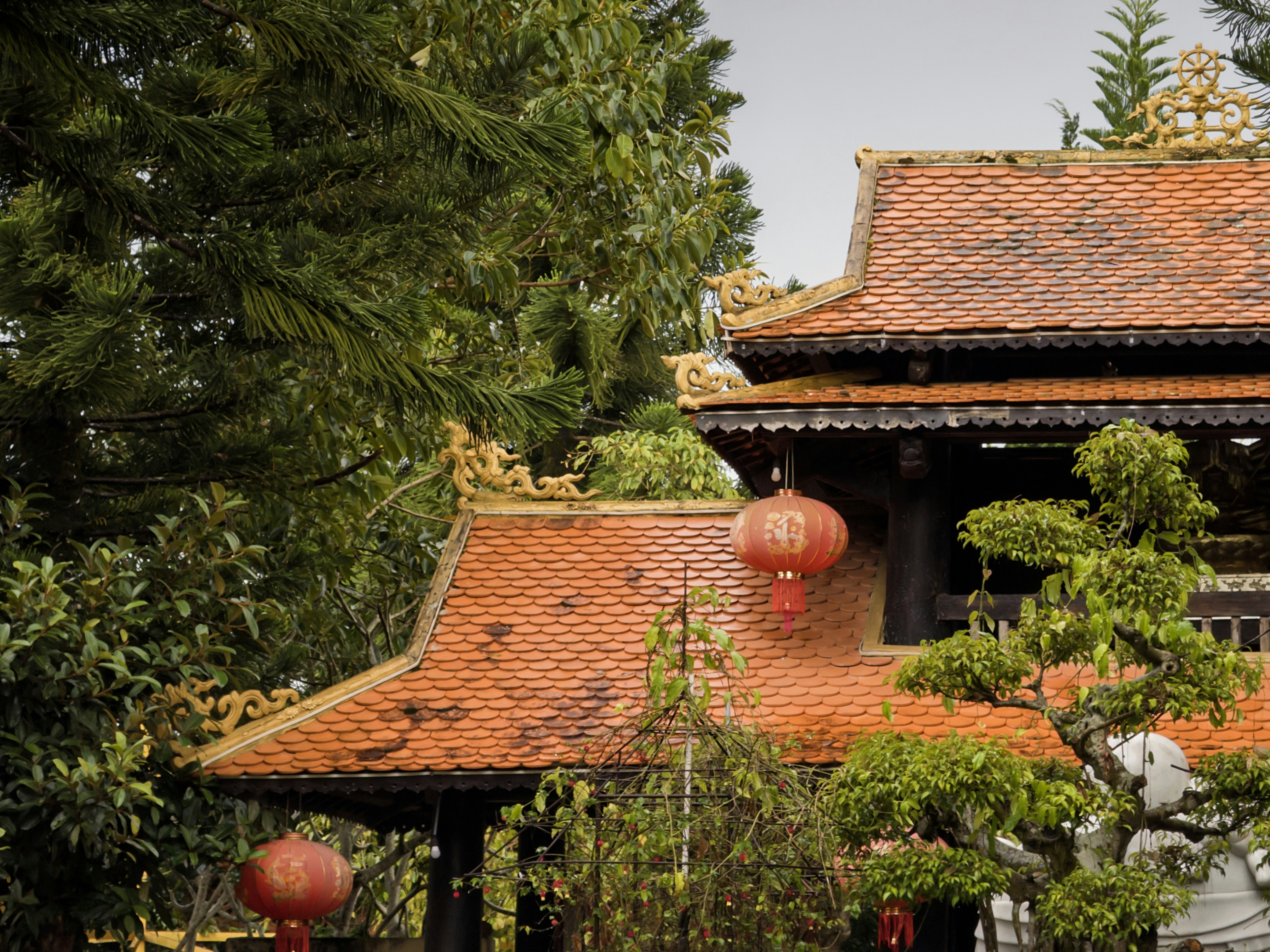 Harmony of Tradition: A Glimpse into Architectural Elegance