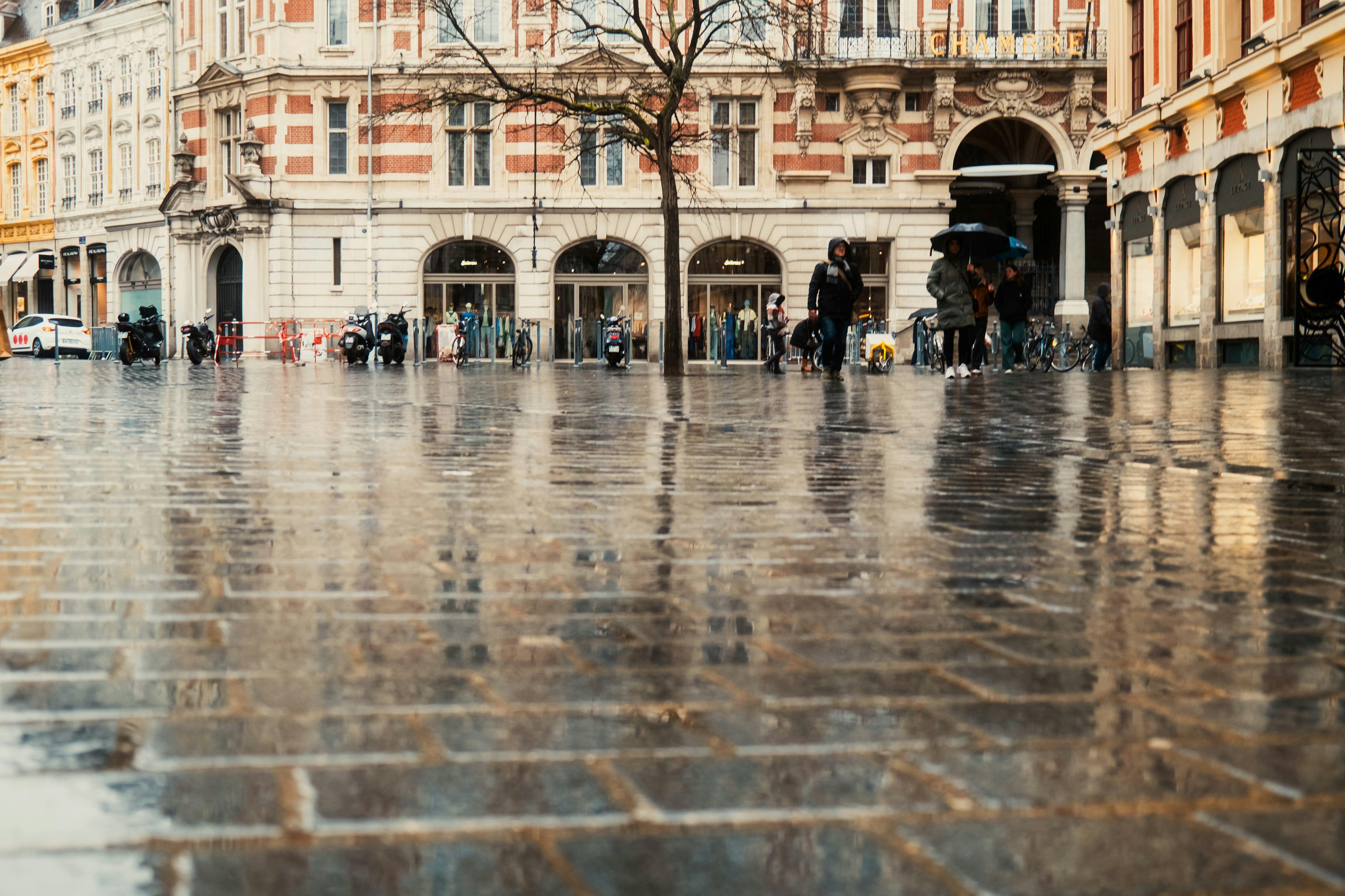 Reflections of Urban Life