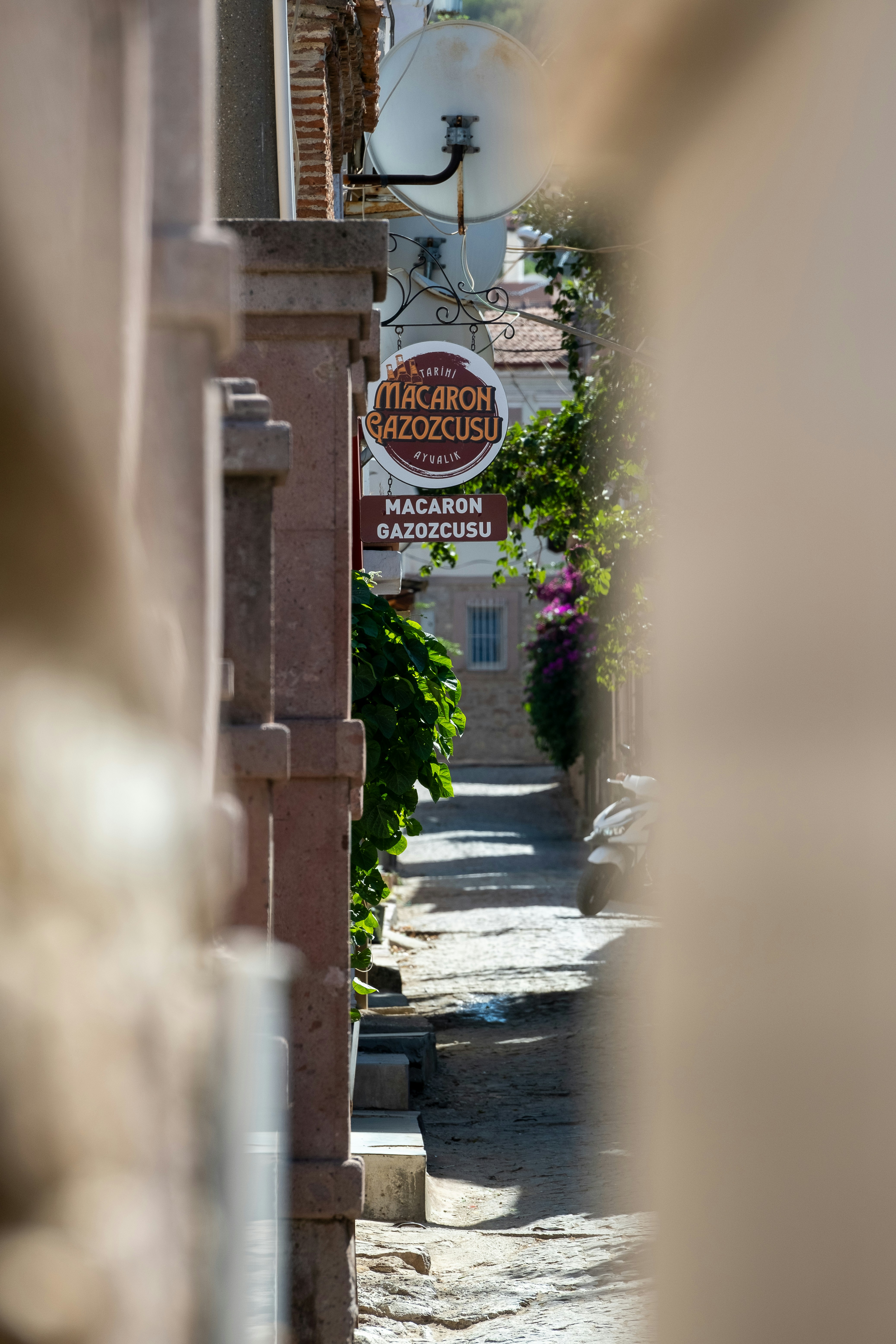 A Hidden Gem: The Pathway to Sweet Delights
