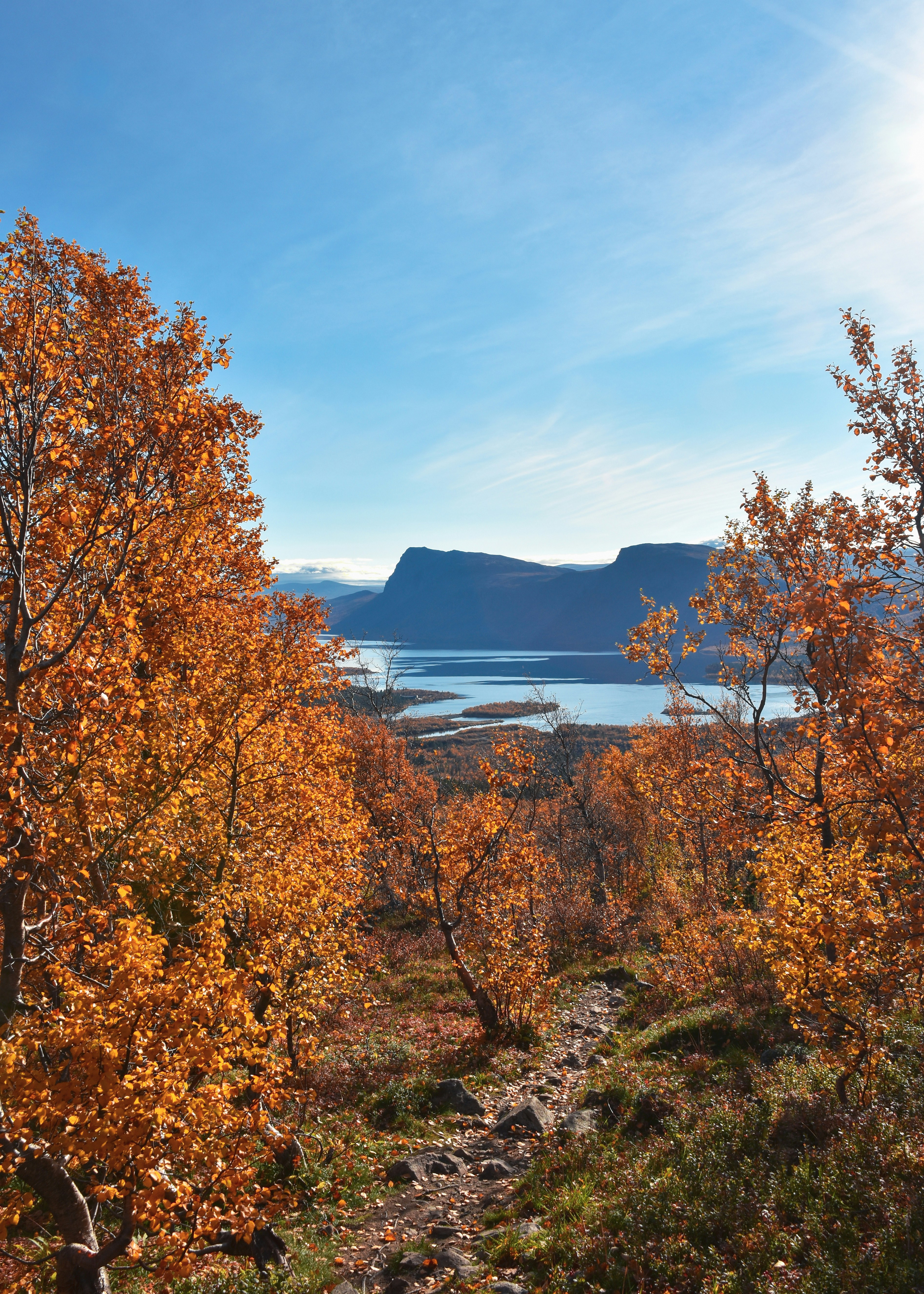 Vibrant autumn foliage lines a winding path leading to a serene lake and distant mountains under a clear blue sky.