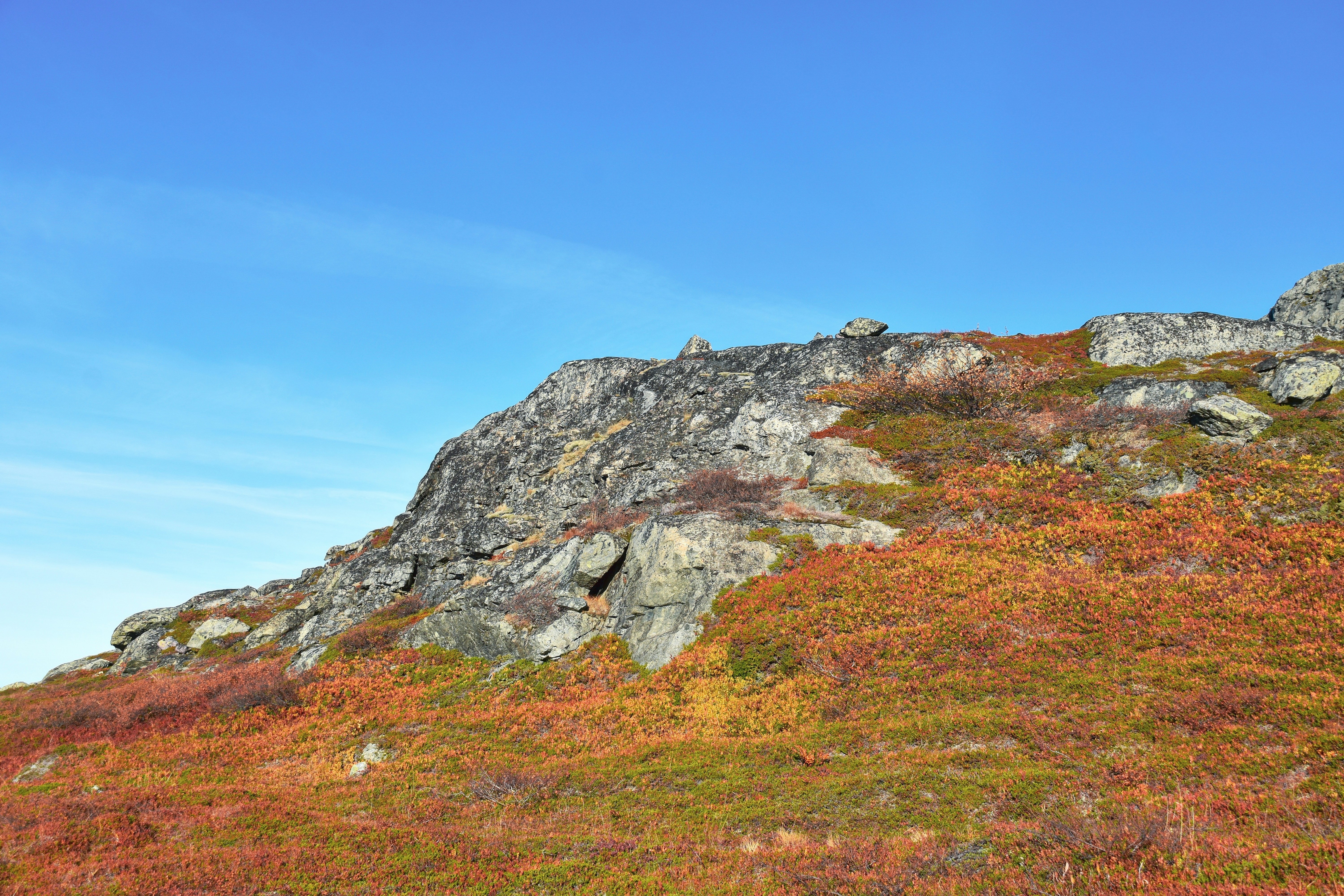Vibrant autumn foliage blankets rocky hillside under a clear blue sky.