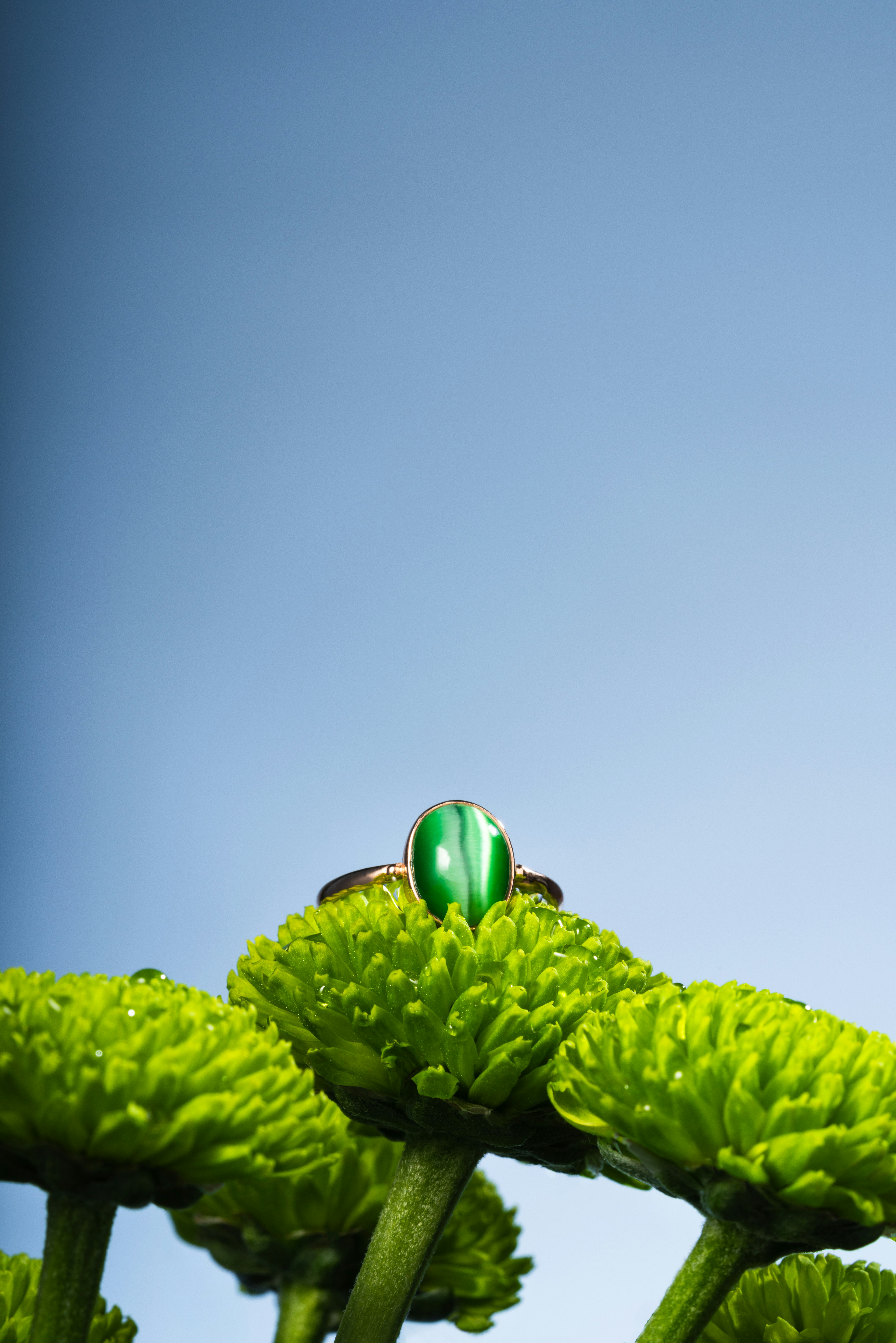 Crown of Chlorophyll | Gold ring with green gemstone on vibrant green flowers