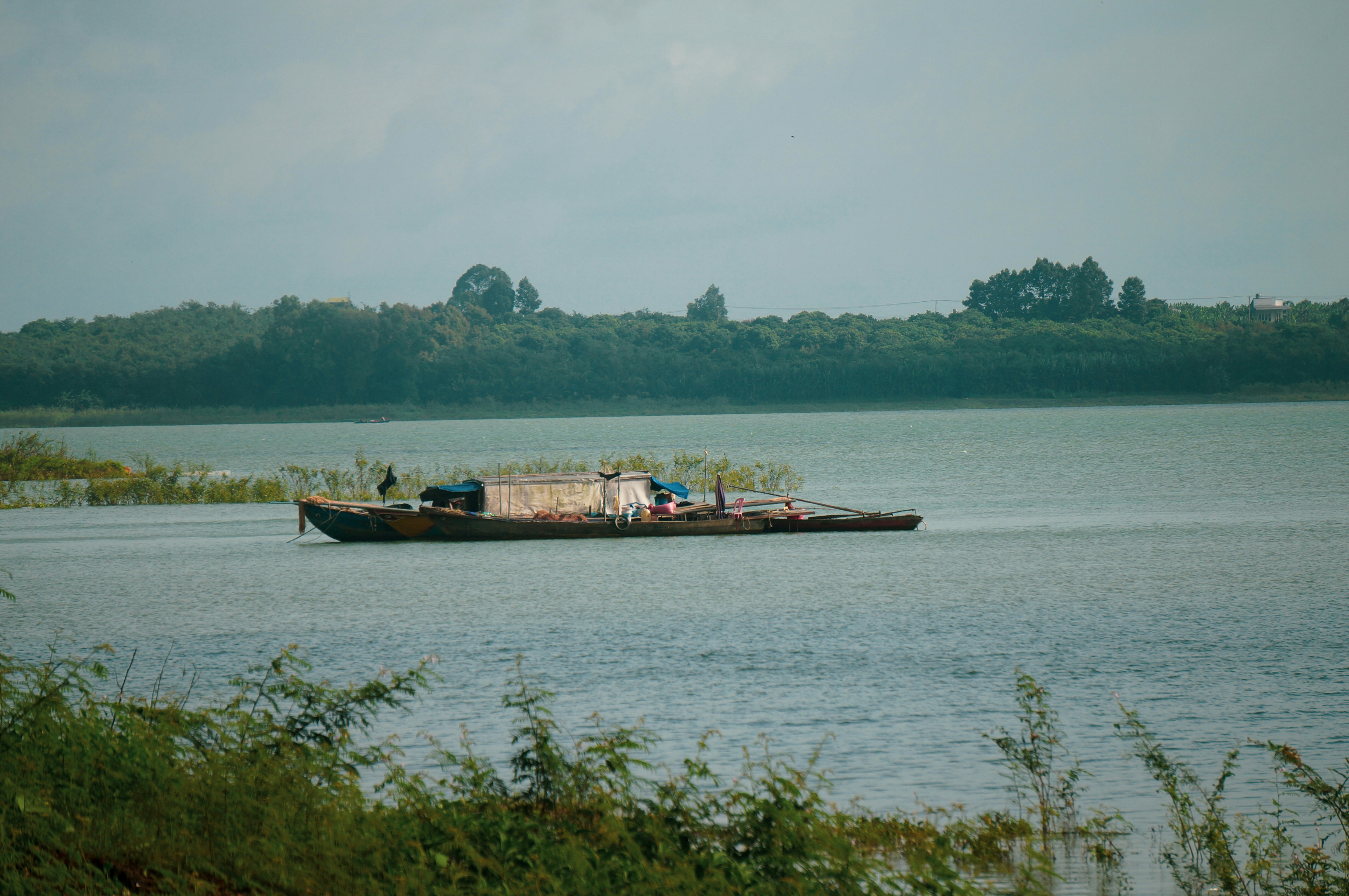 Serenity on the Water: A Fisherman's Haven