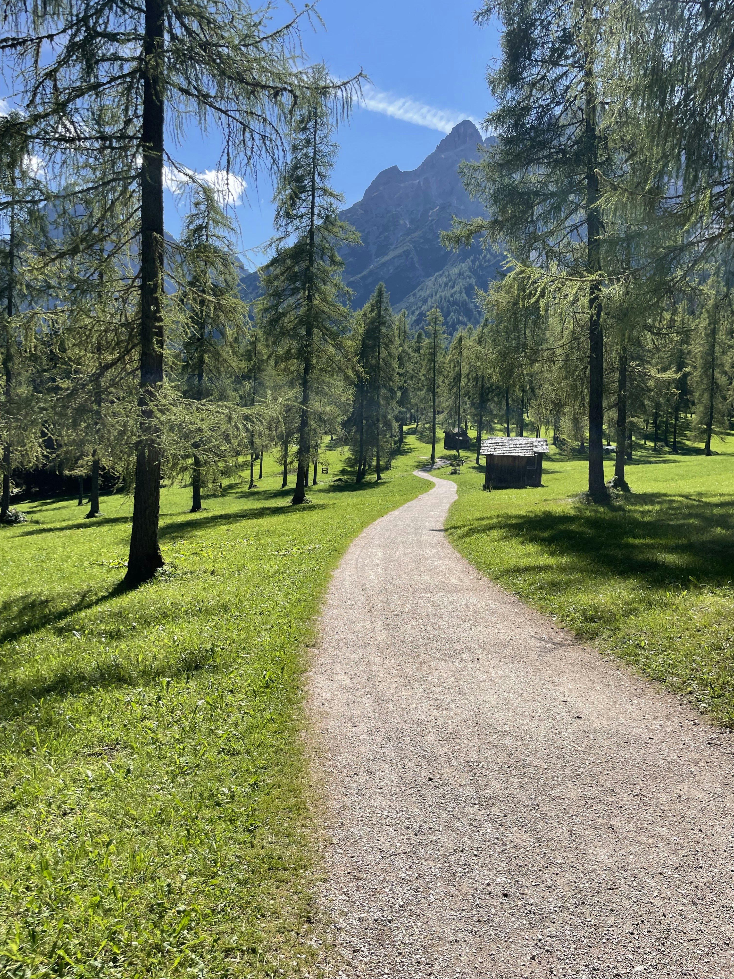 Whispers of the Alpine Pathway