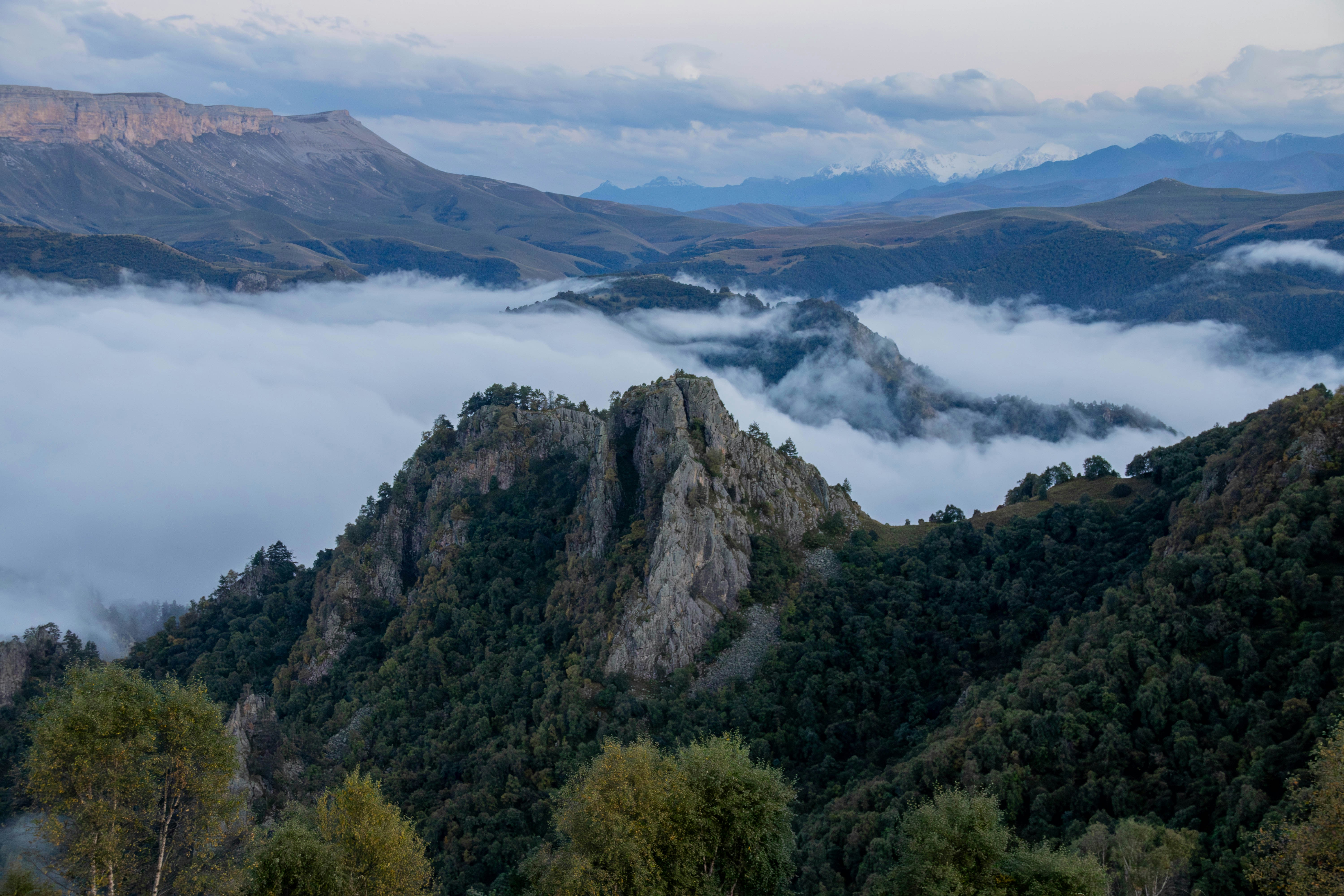 Whispers of the Misty Peaks