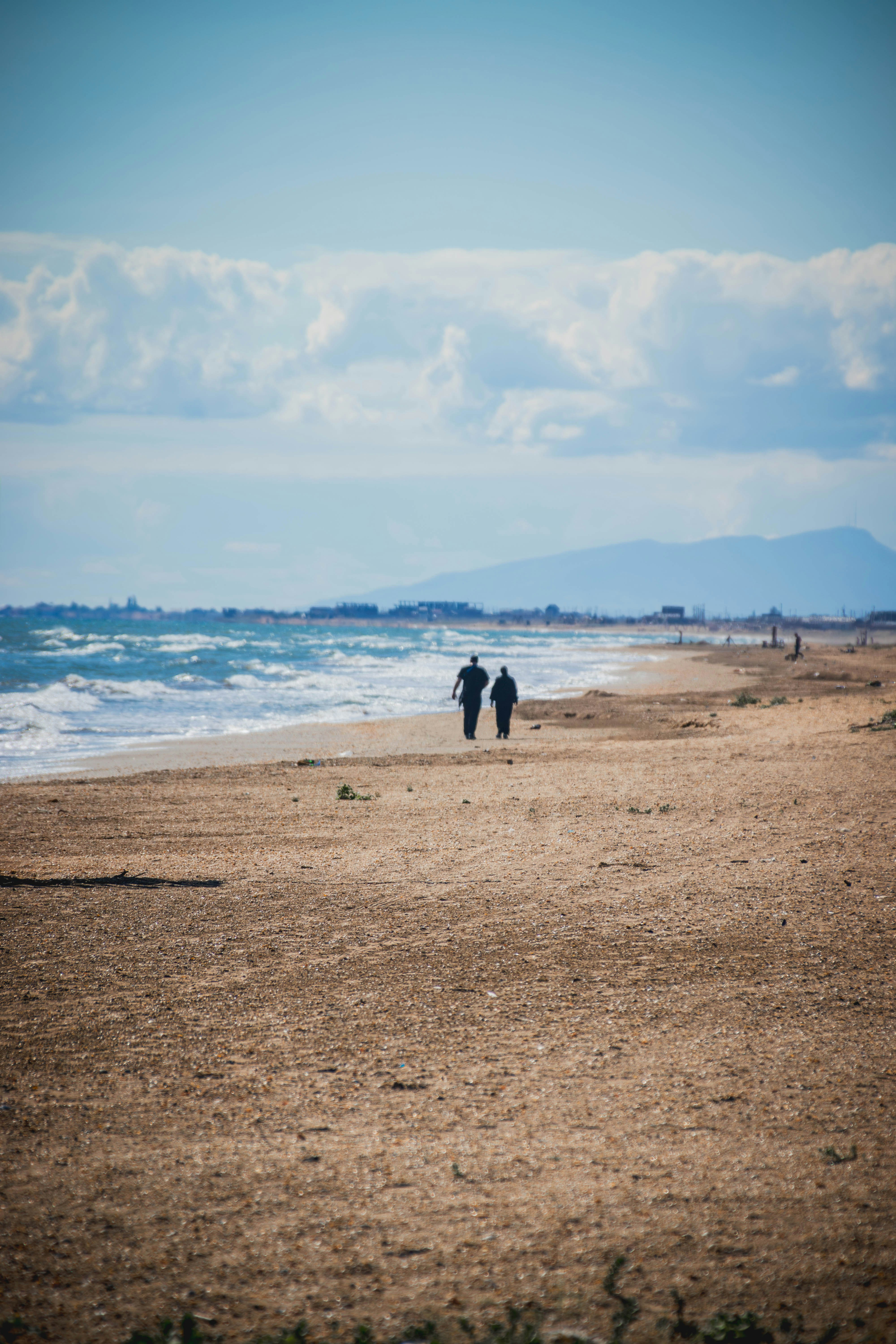 A Serene Stroll Along the Shoreline