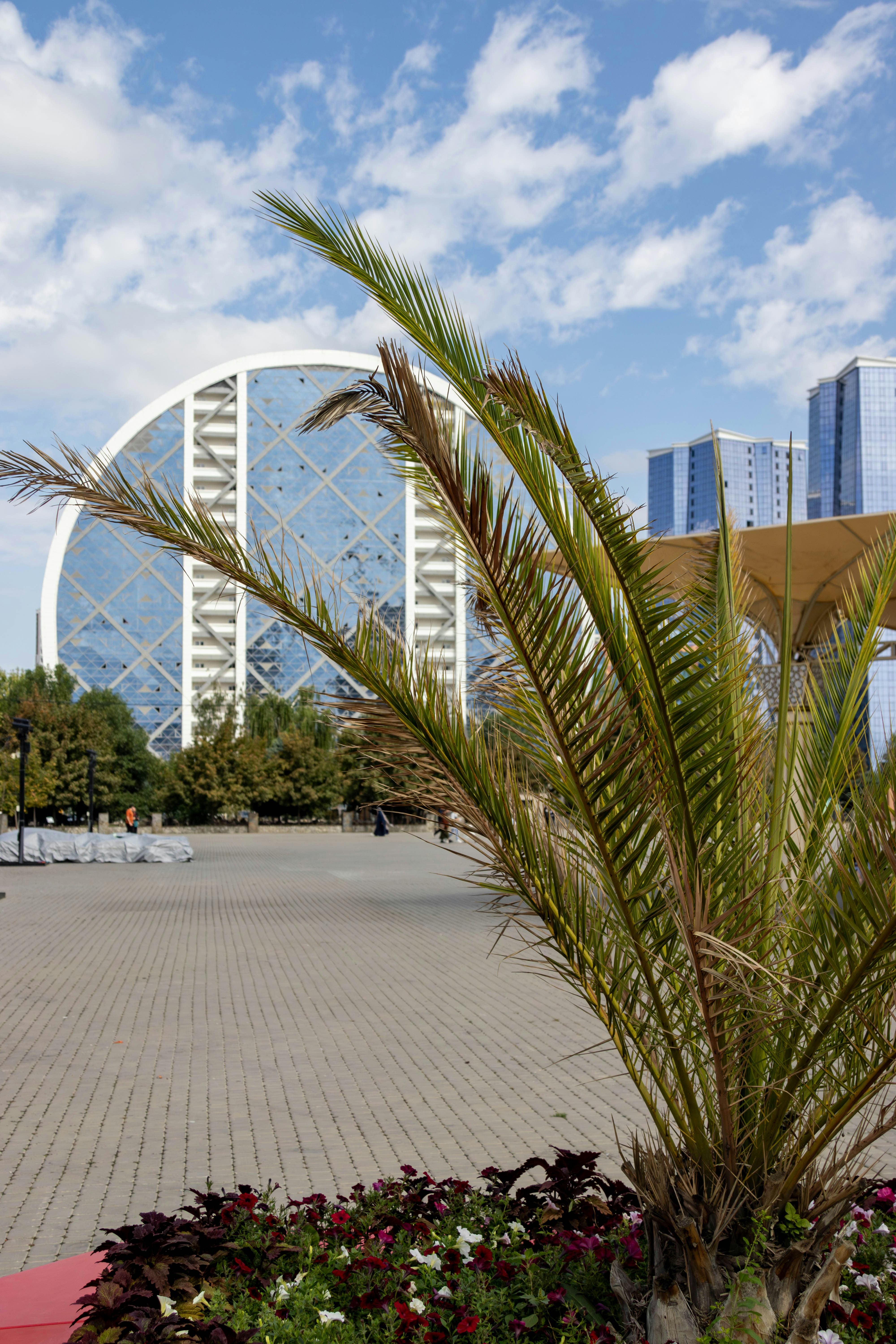 Urban Oasis: Nature Meets Modern Architecture
