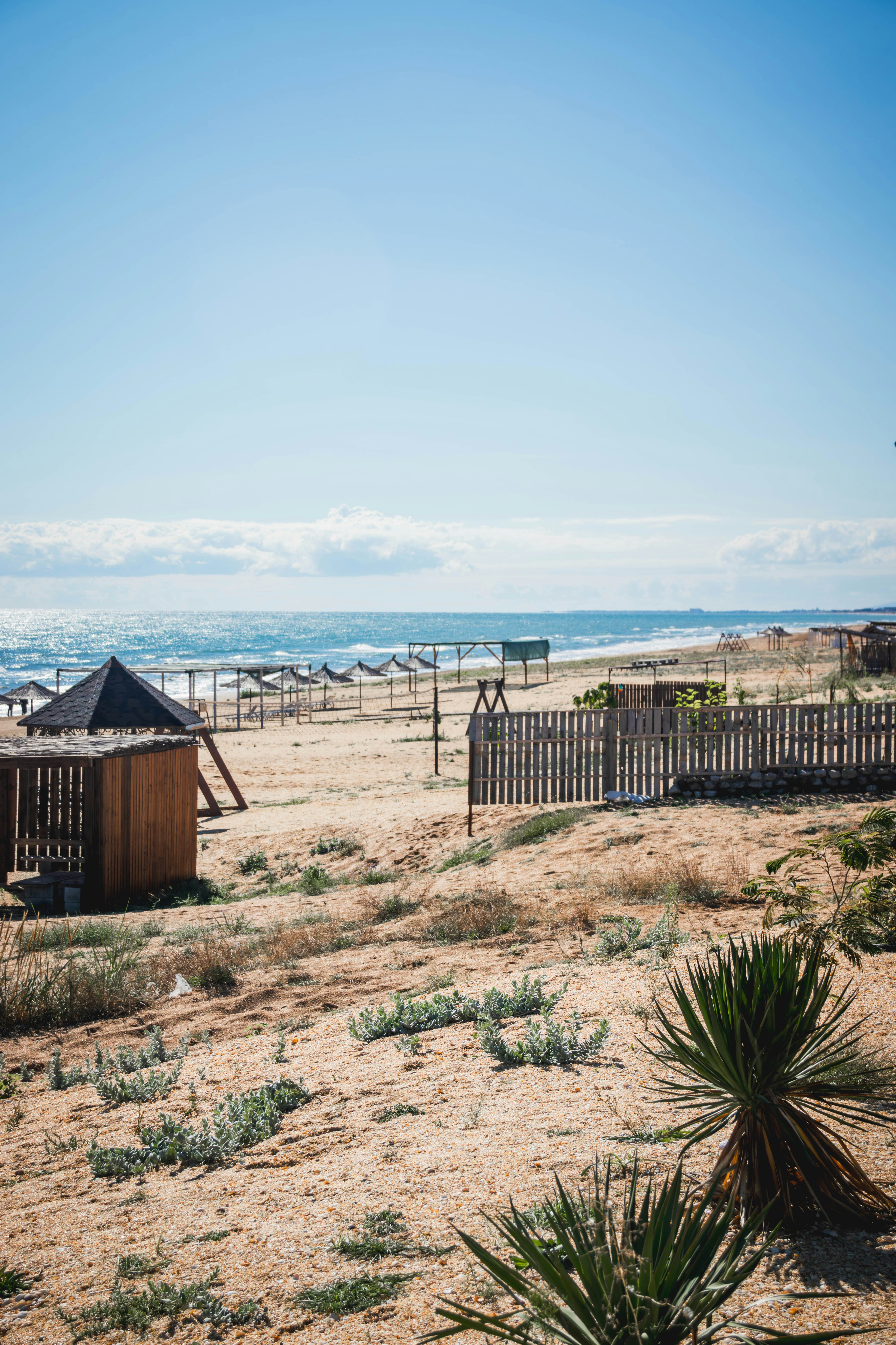Serene Shores: A Coastal Retreat