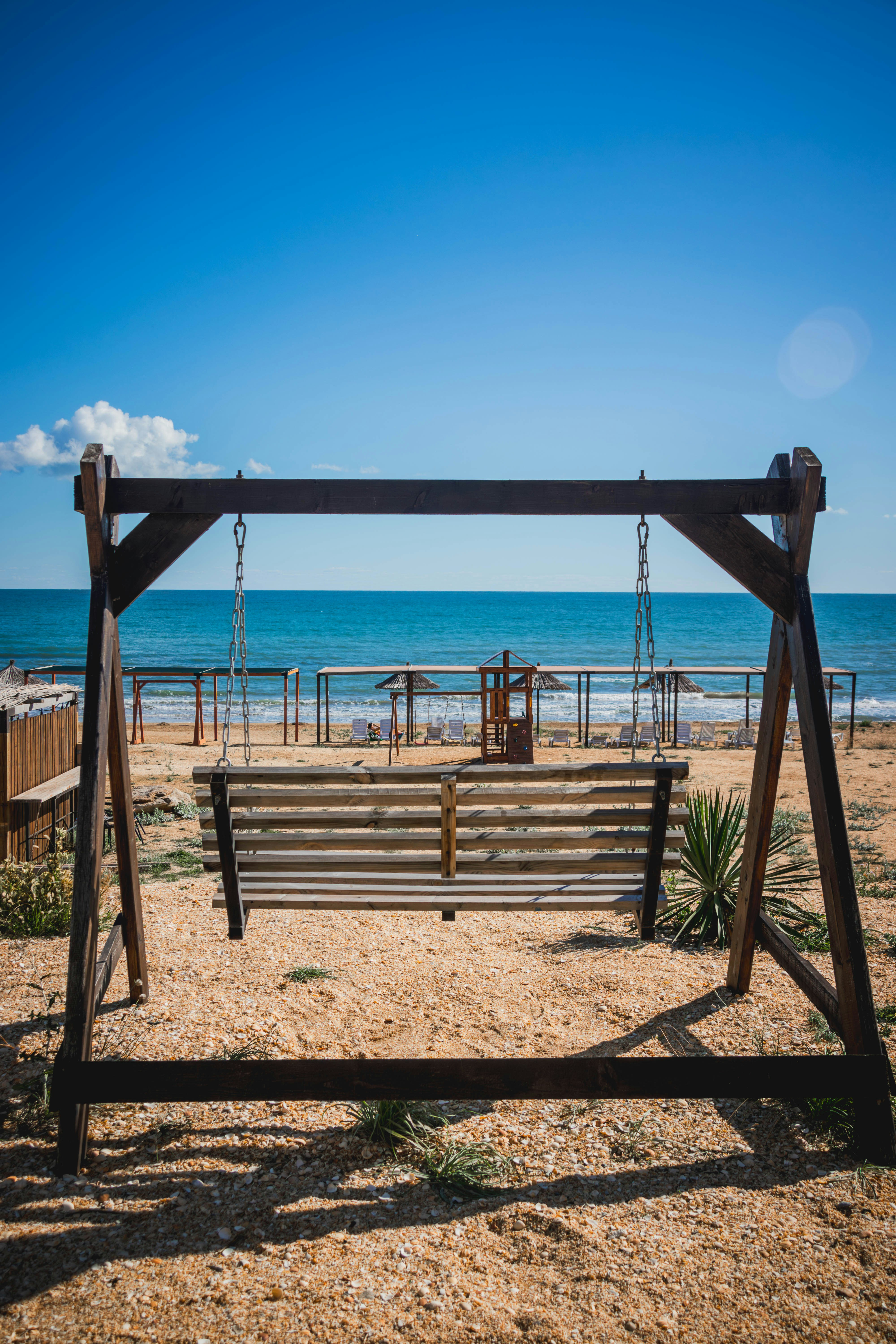 Serenity by the Shore: A Swing's Embrace