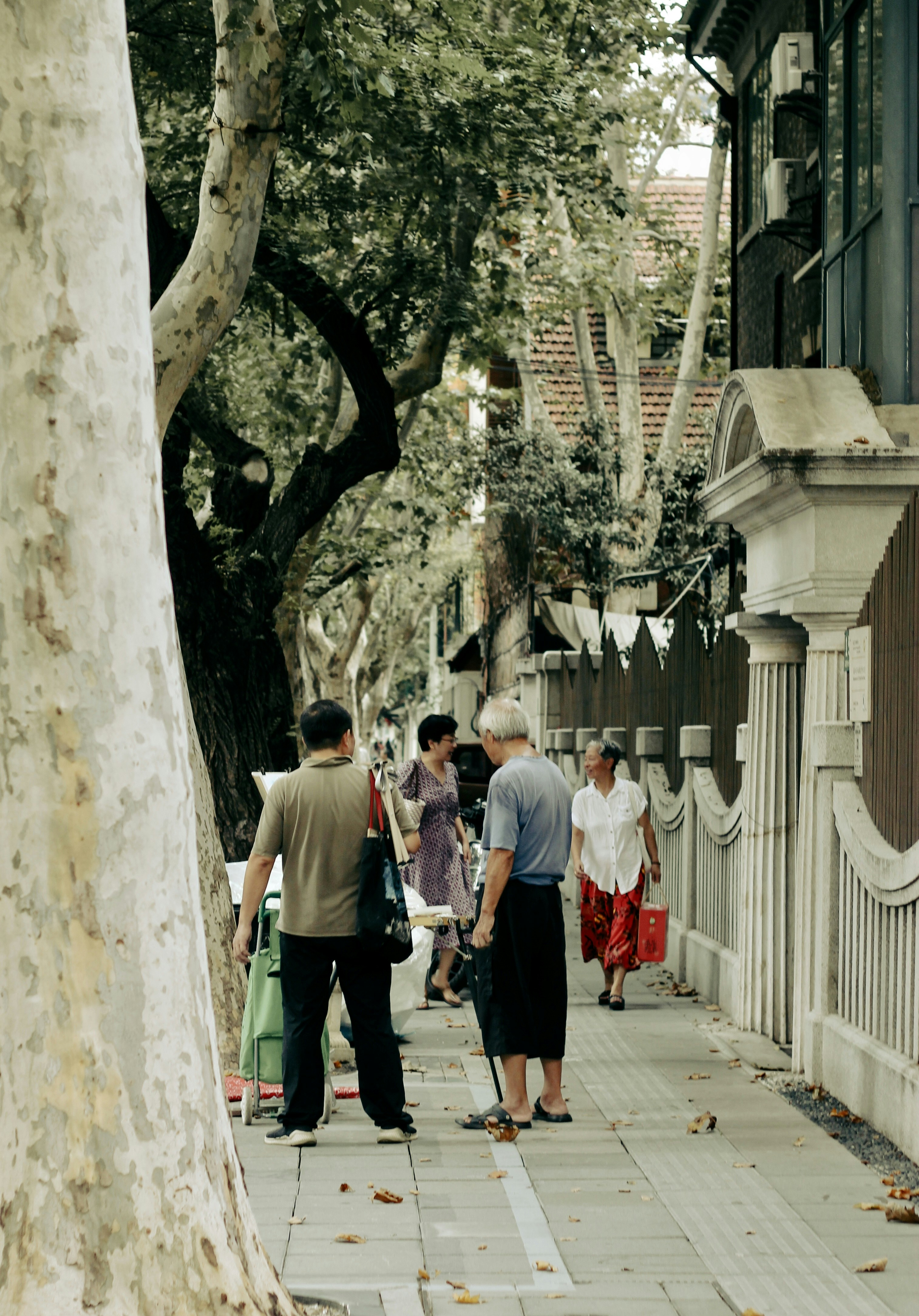 People walking on a tree-lined sidewalk in front of buildings.