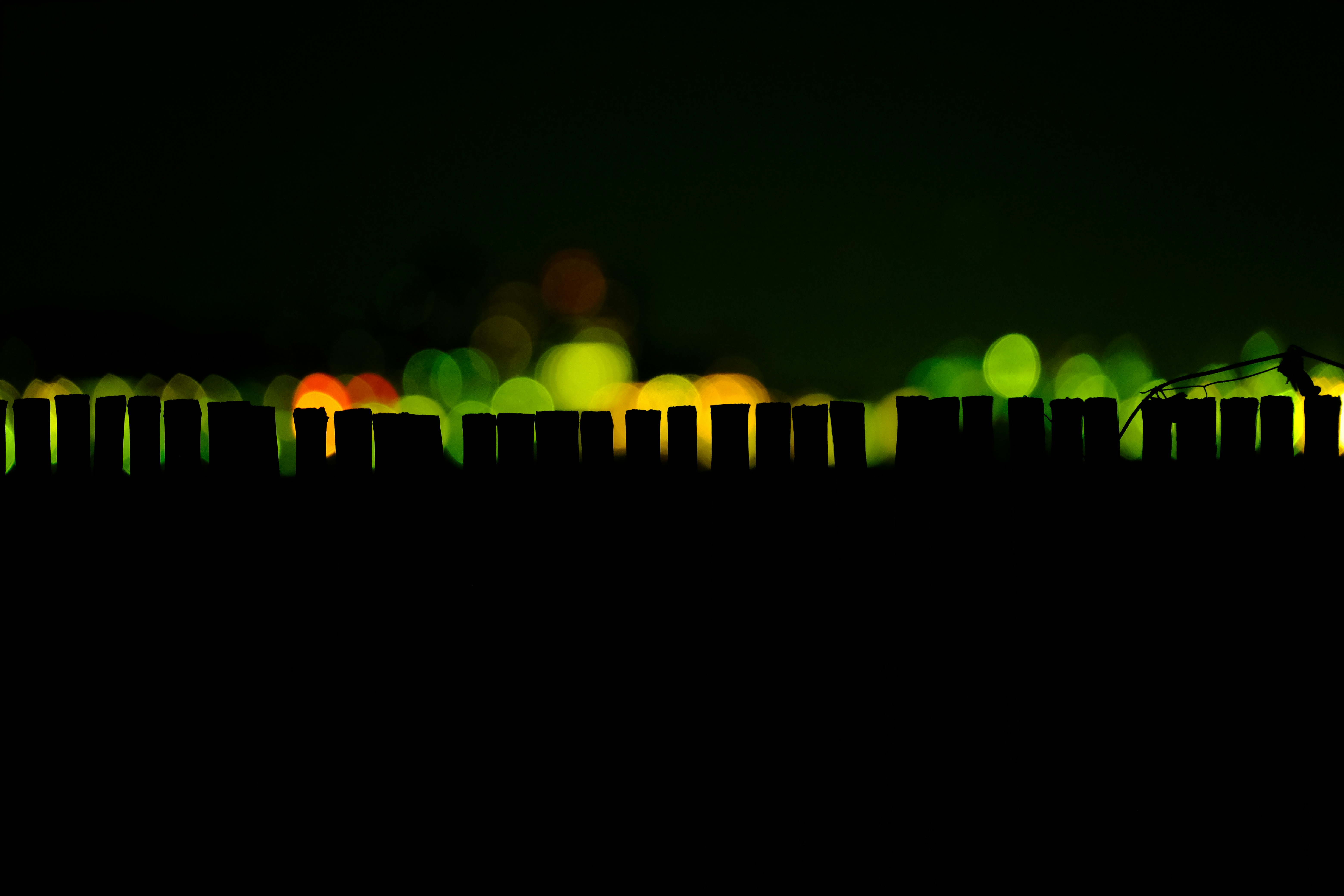 Whispers of Light Beyond the Fence