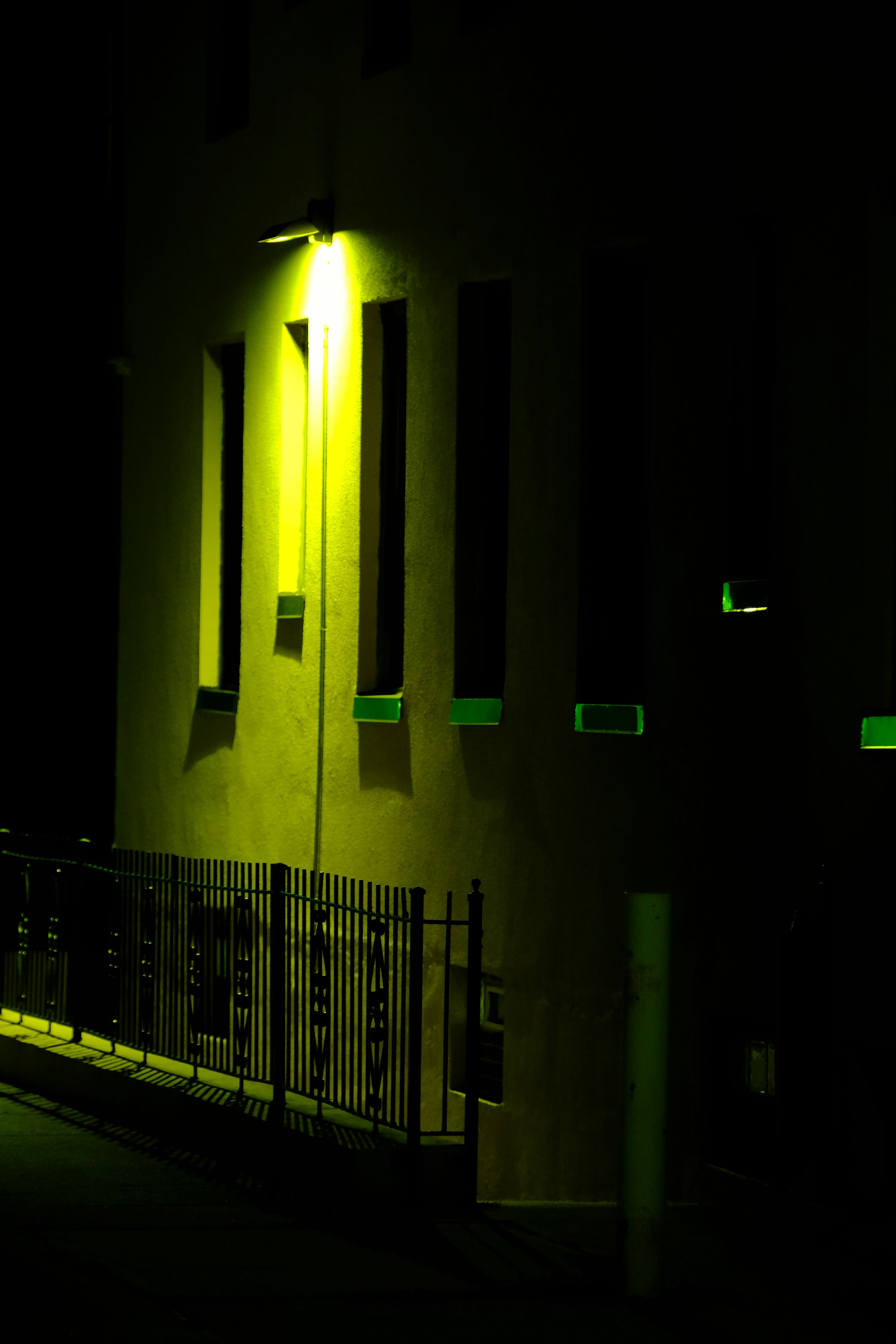 Neon Shadows: A Nighttime Encounter