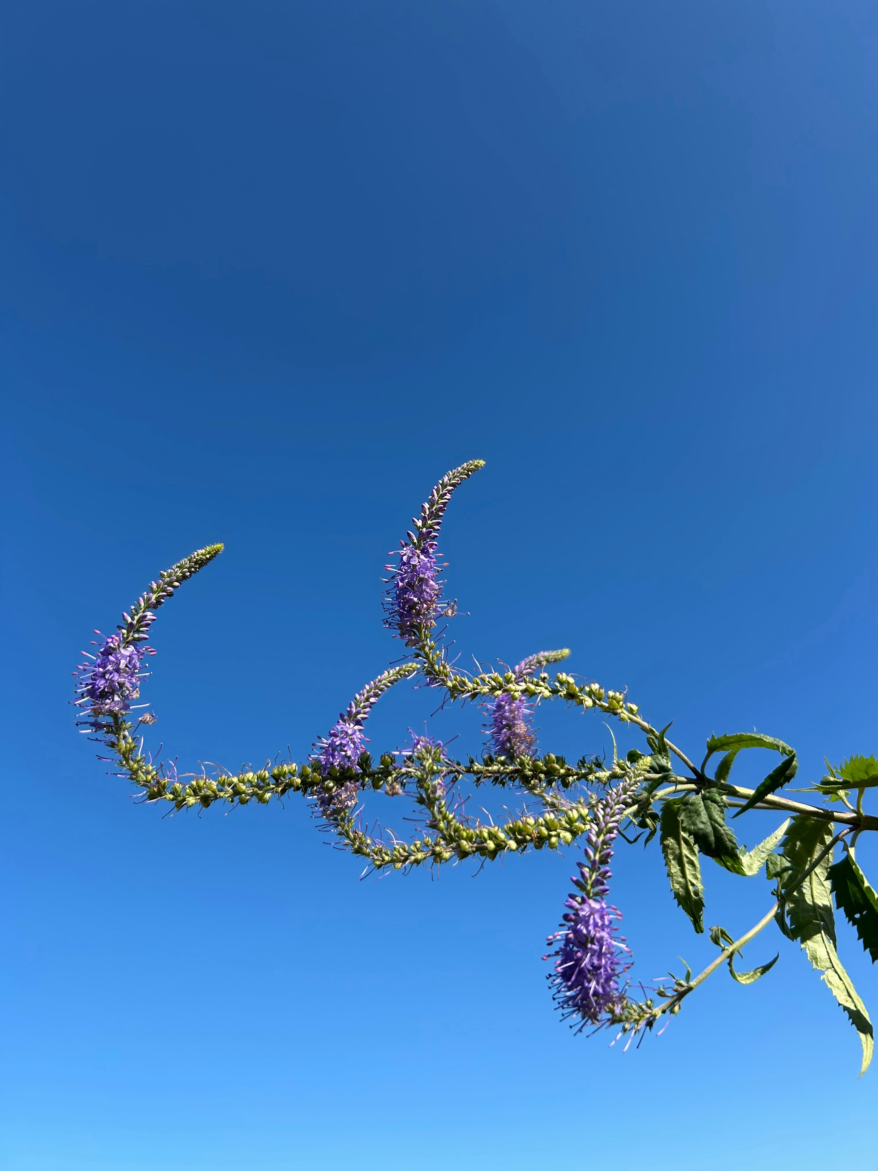 Паша Грановский (@ad_honores) | Unsplash Photo Community