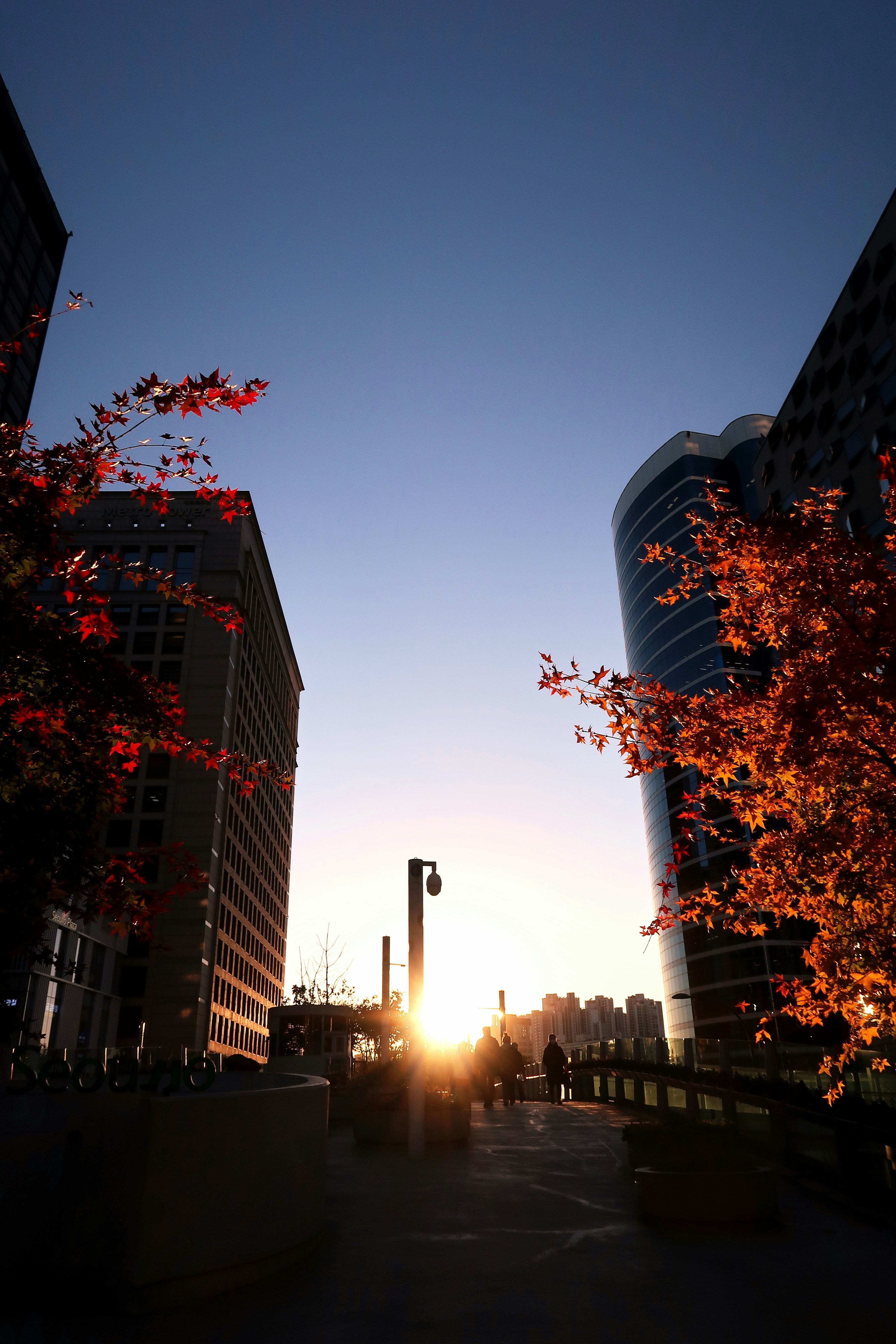 Urban Autumn Glow: A Sunset Framed by Cityscapes