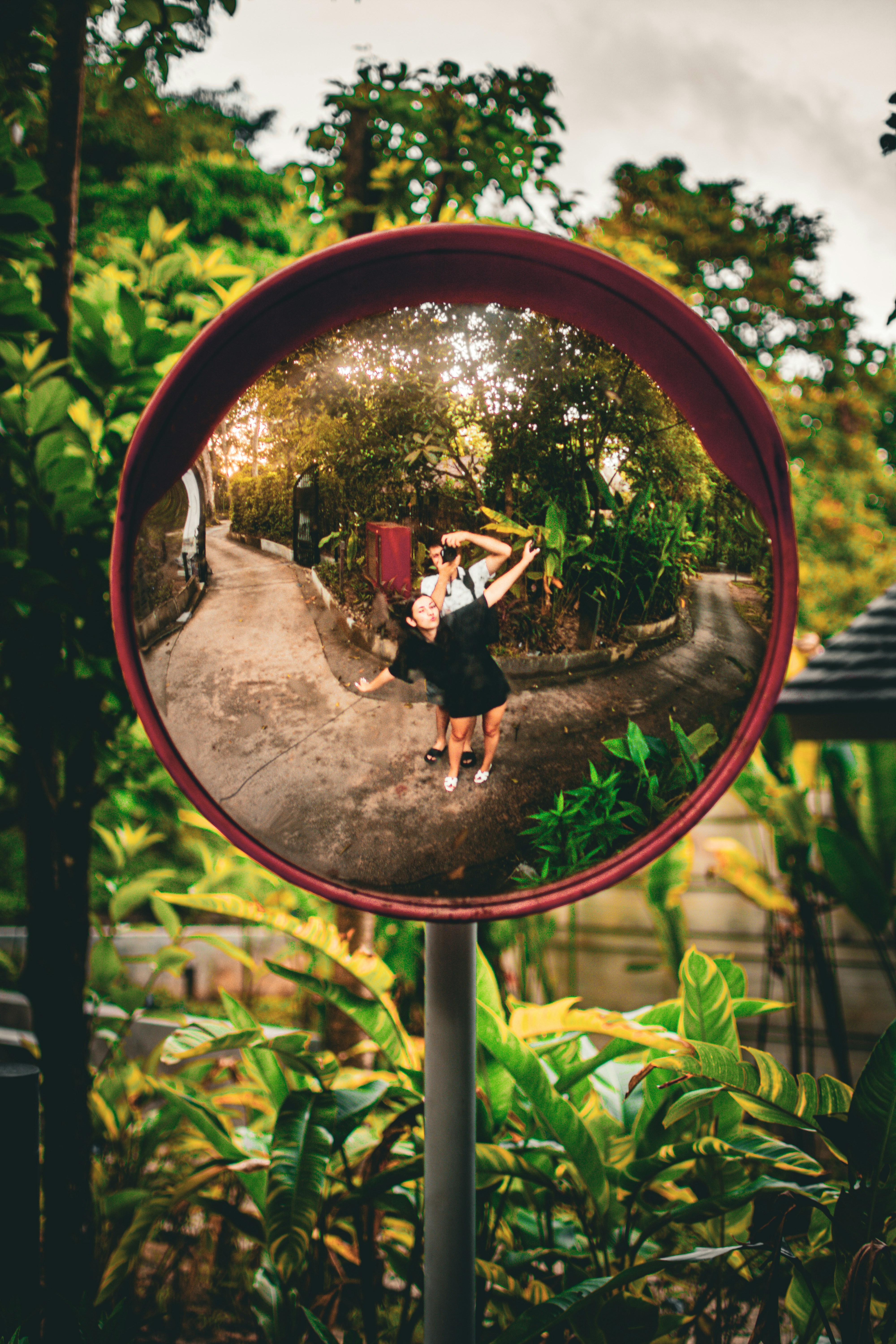 Reflections of Joy in a Garden Mirror