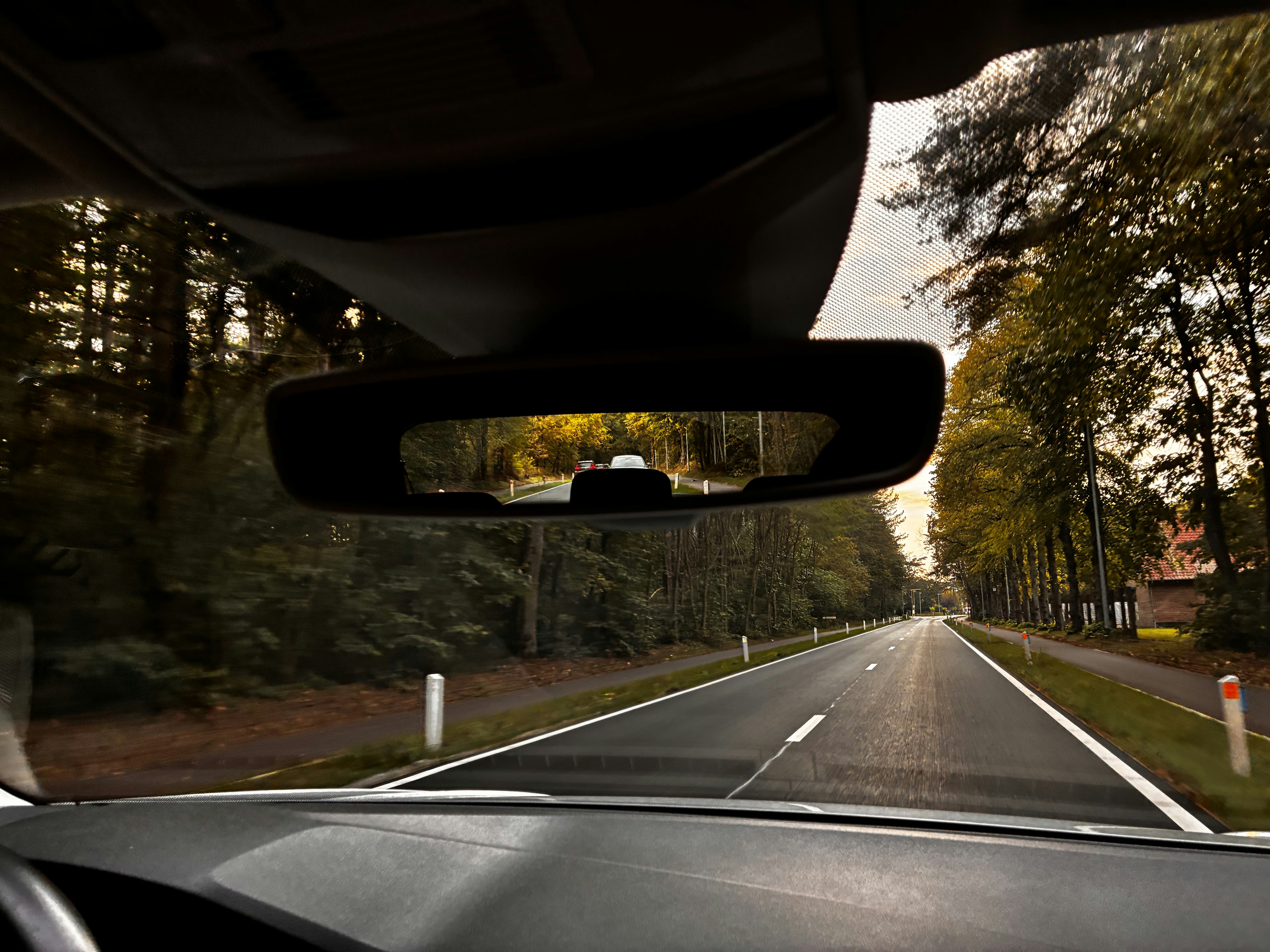Driving on a wet road through autumn trees