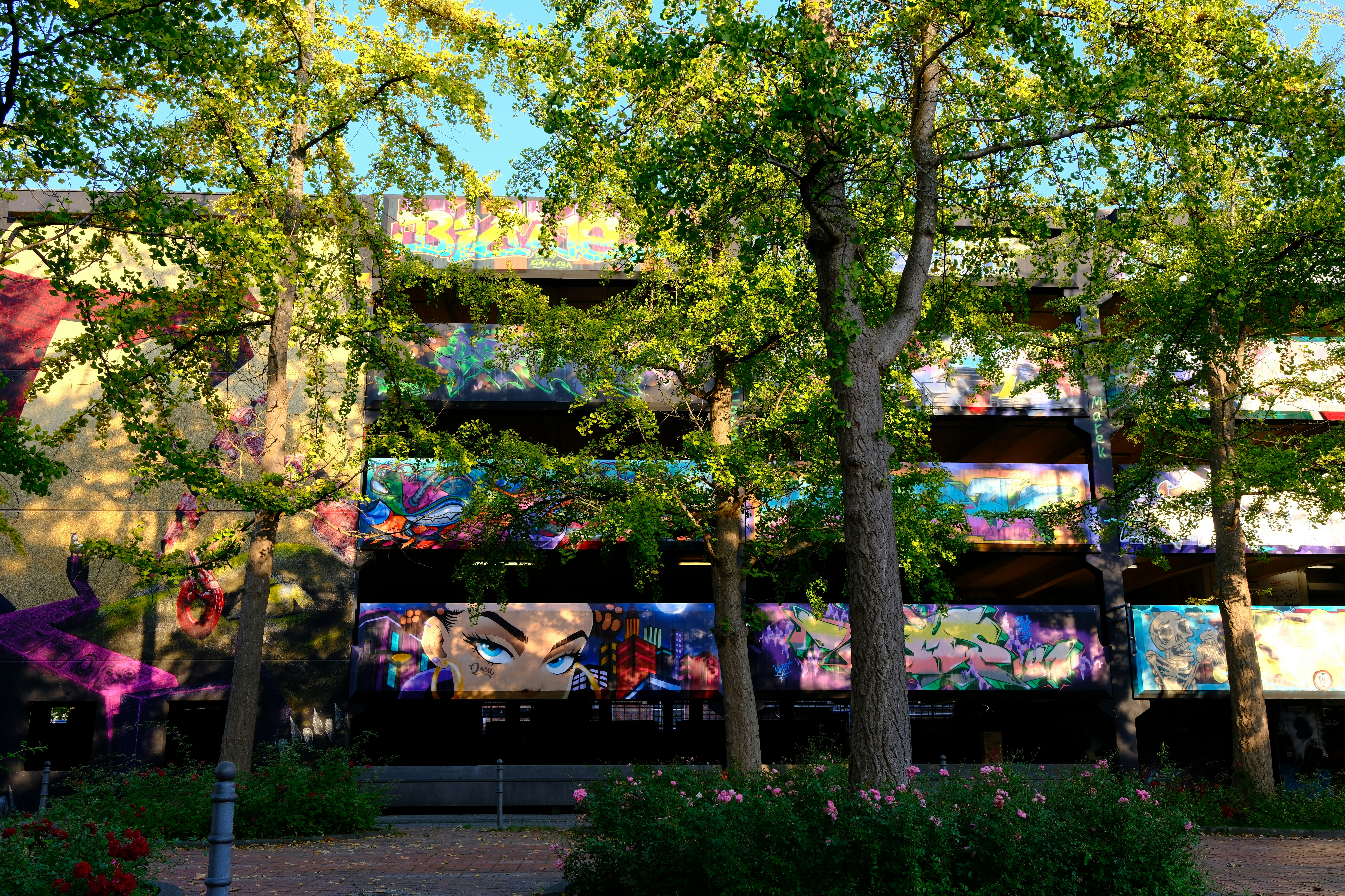 Urban Canvas: The Vibrant Story of Street Art