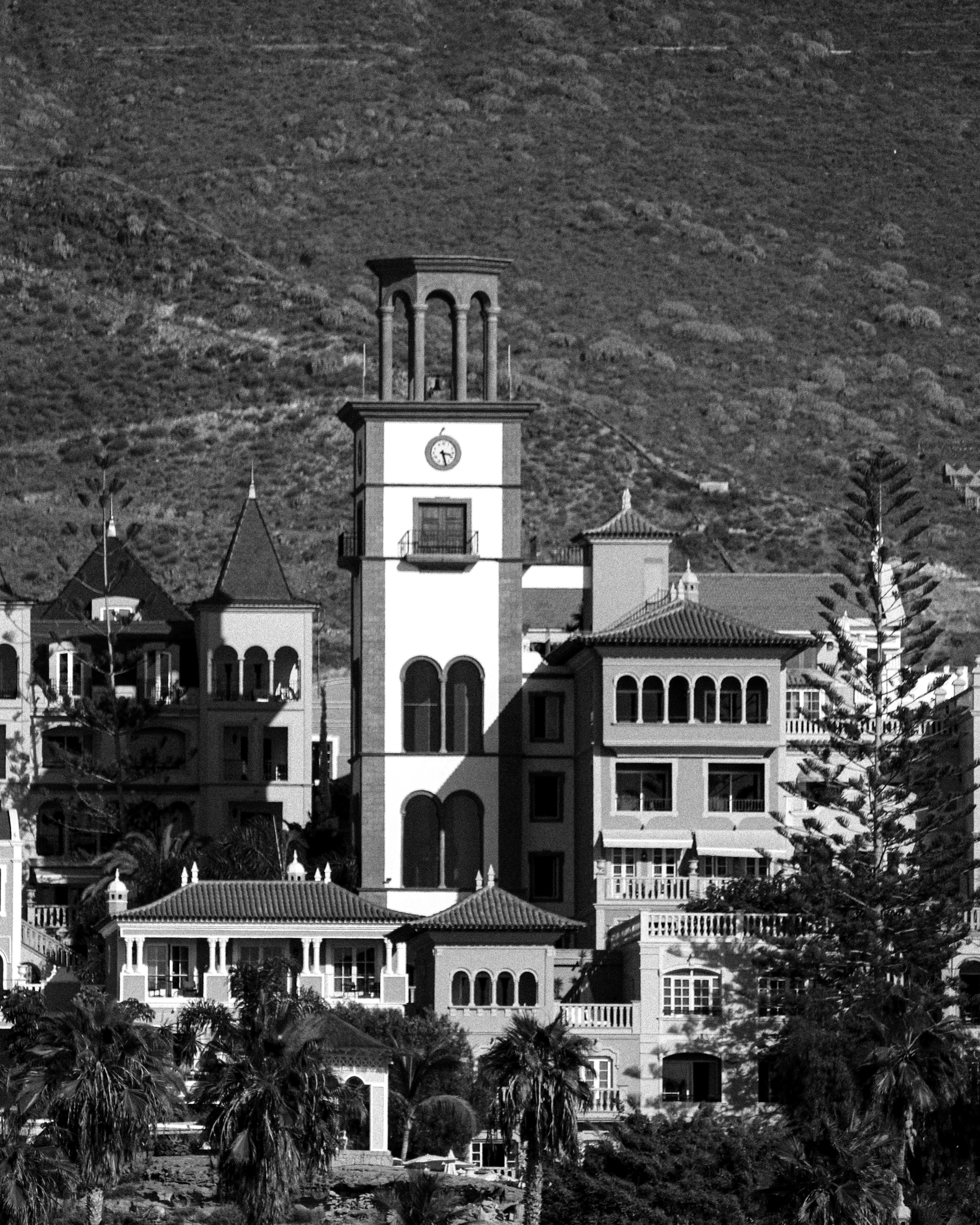 Architectural Harmony Amidst Nature's Embrace