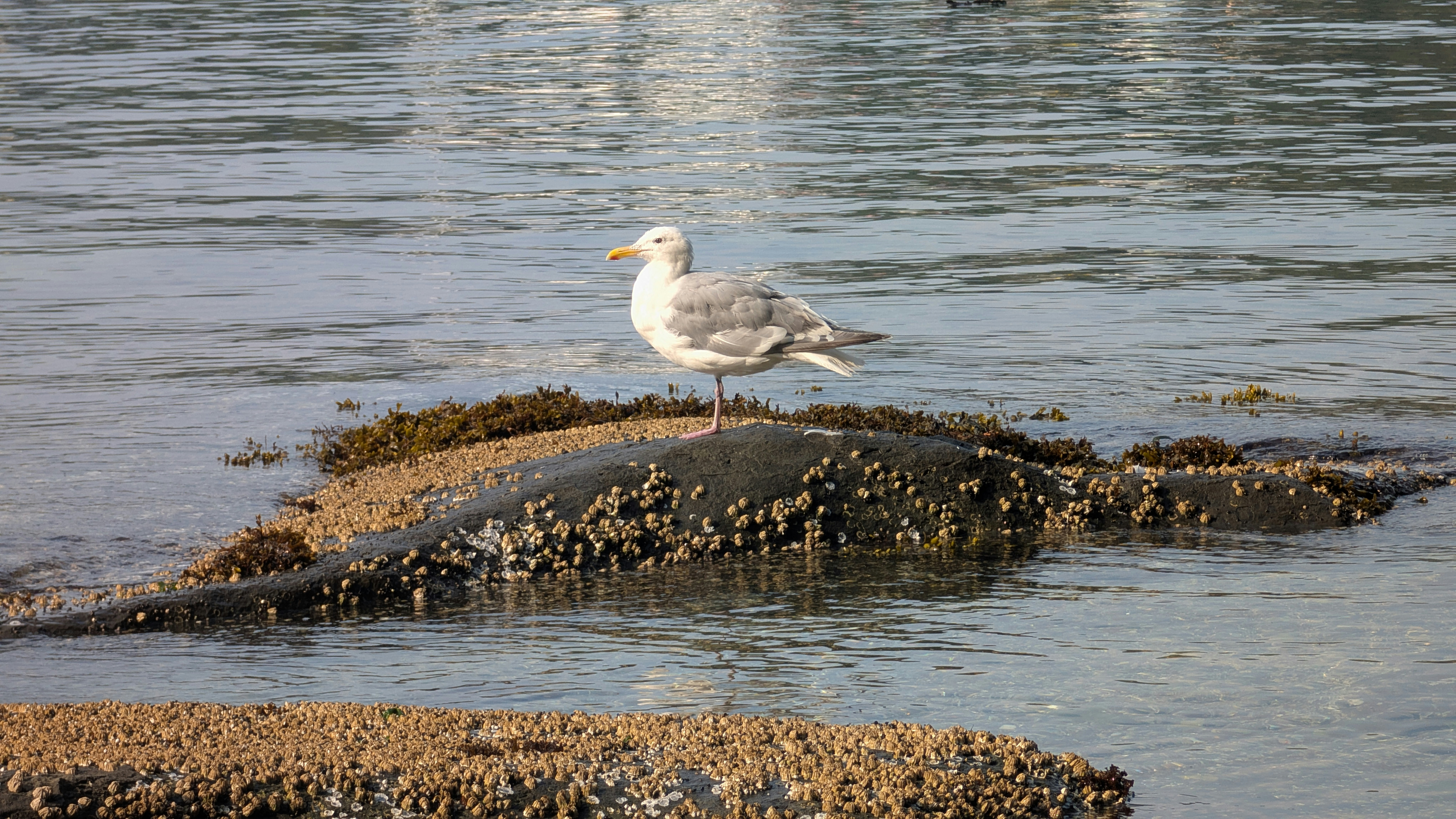 Mike Dice (@hyperstill) | Unsplashフォトコミュニティ