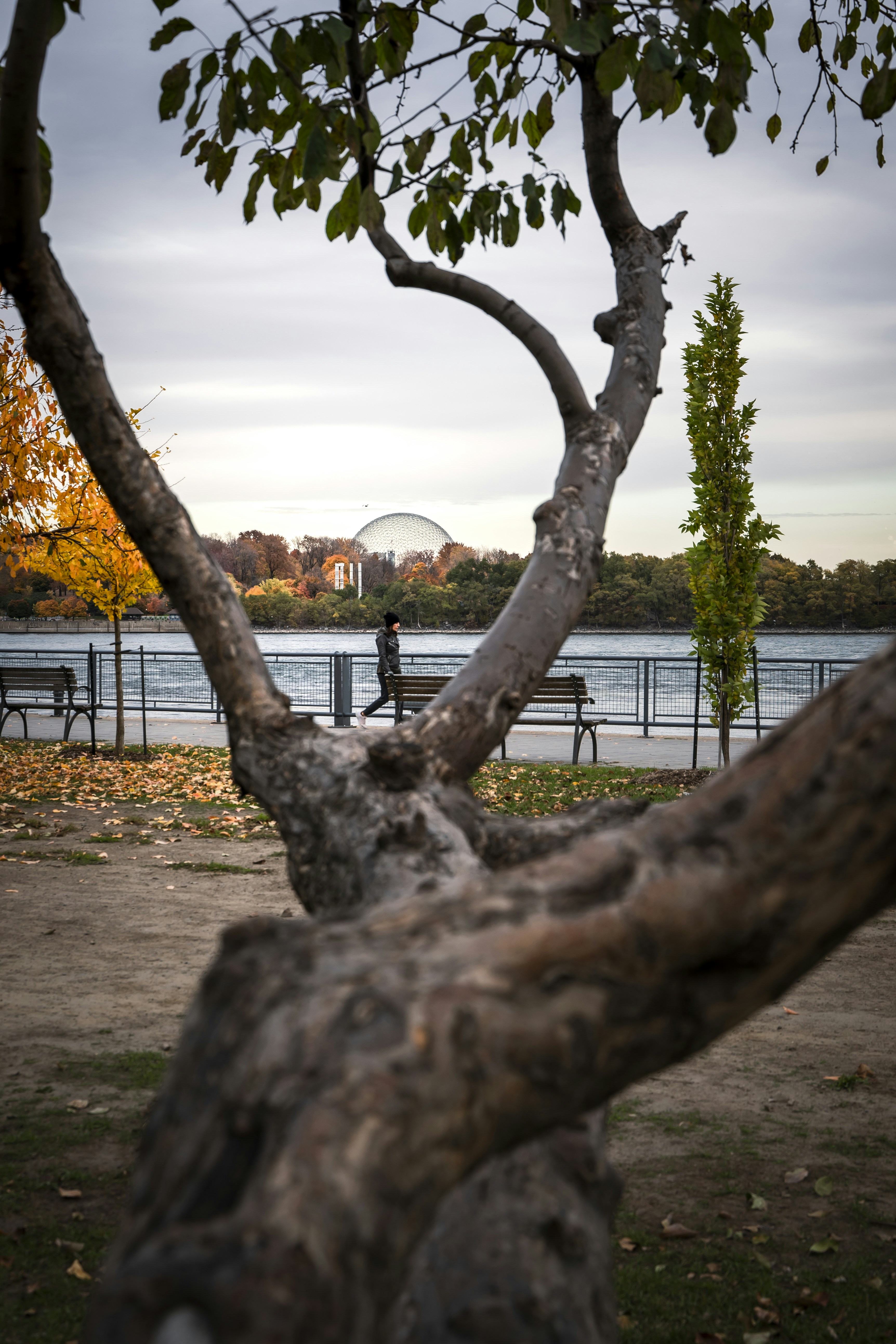 Person walks by a river with autumn trees and dome.