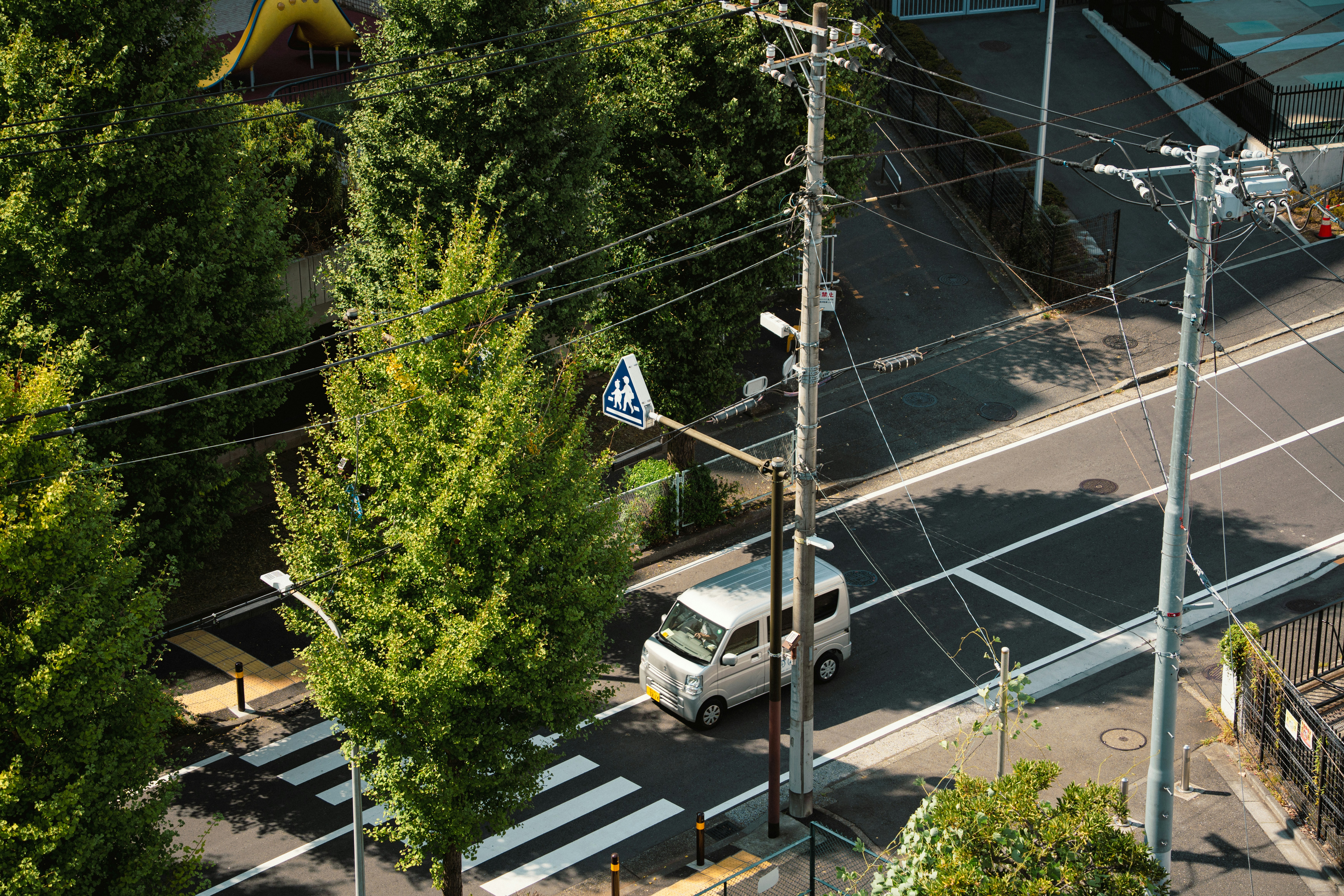 Urban Harmony: Nature Meets Infrastructure