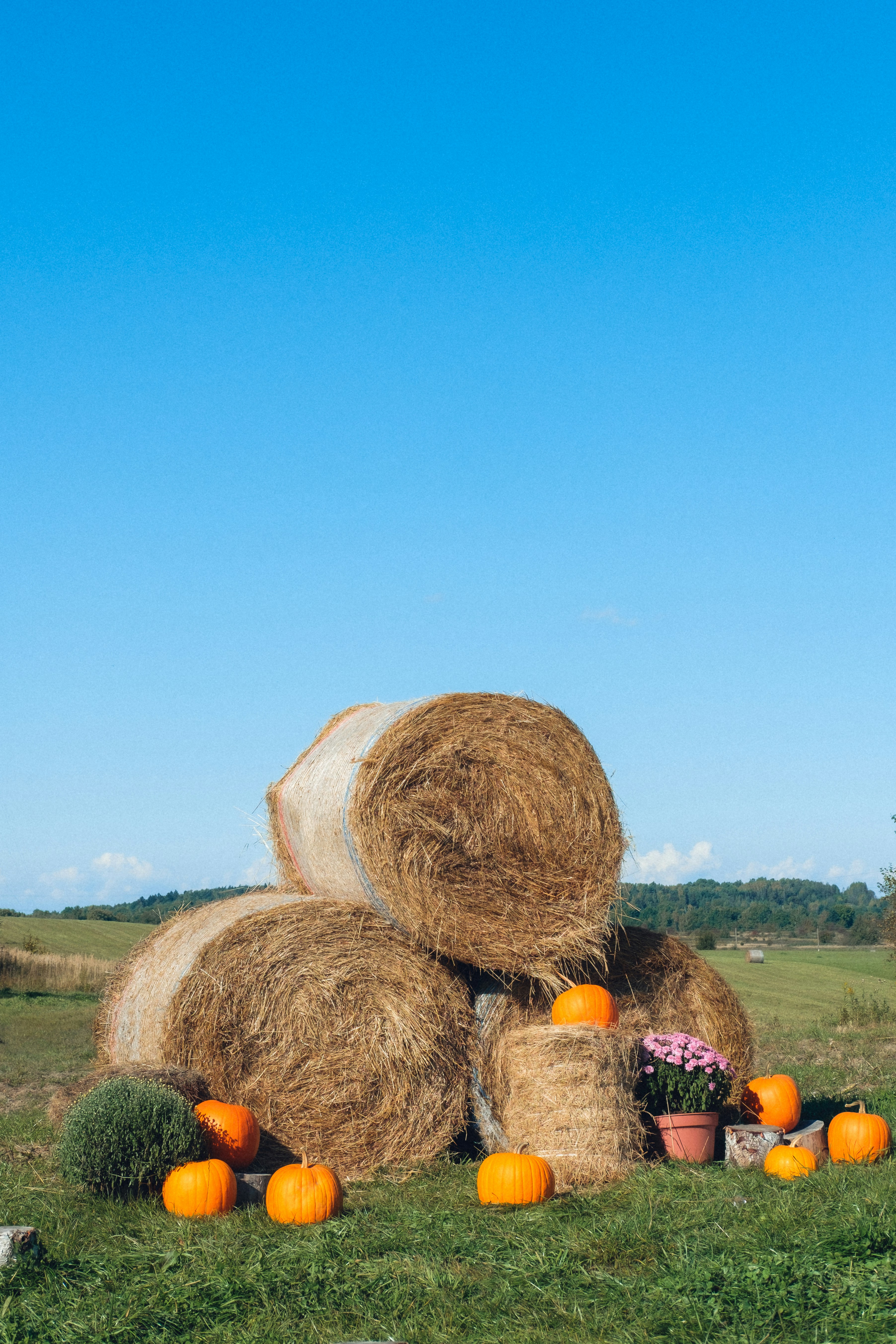 Harvest Harmony: A Rustic Autumn Display