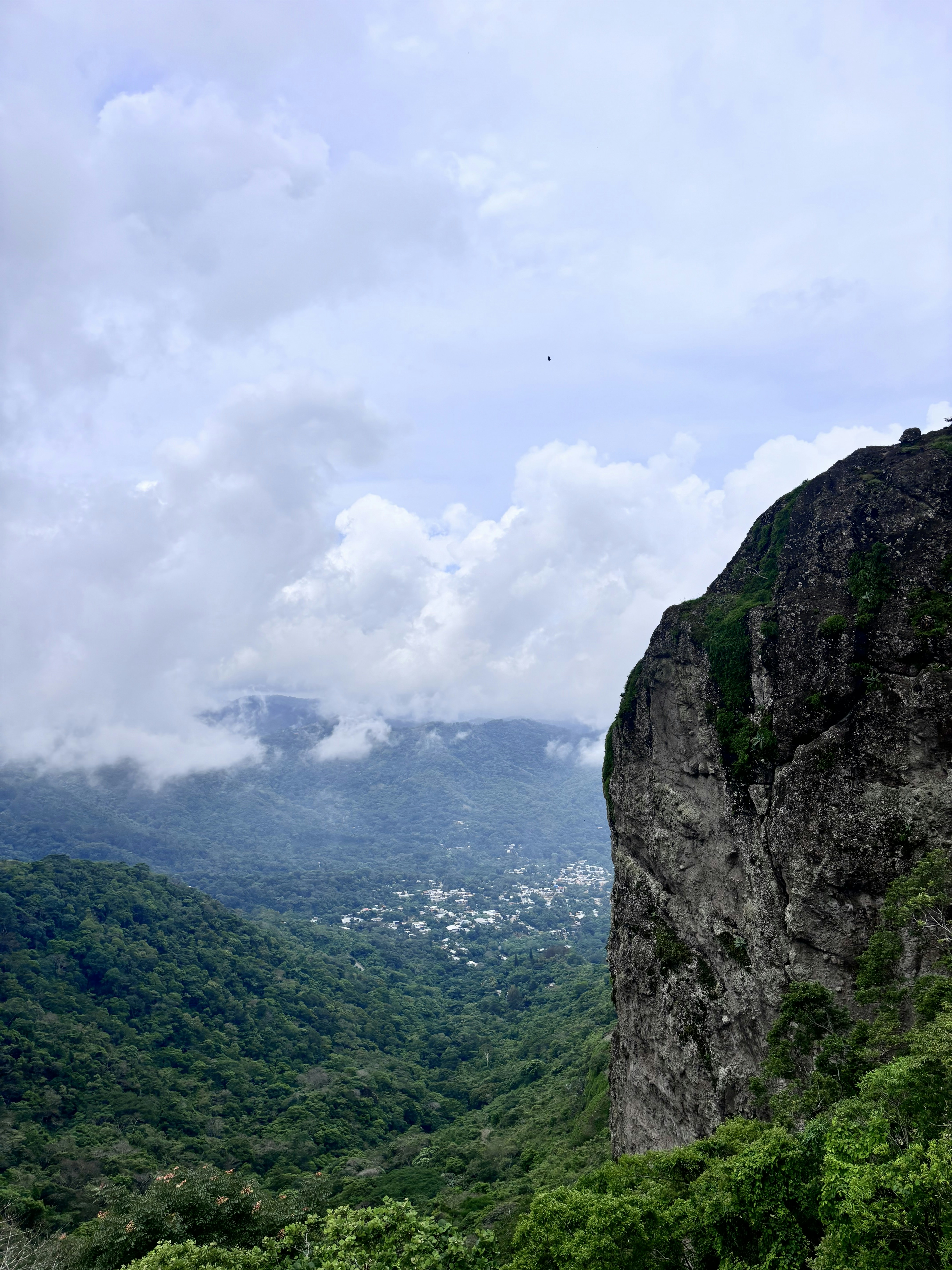 Whispers of the Mountains: A Journey Through Verdant Valleys