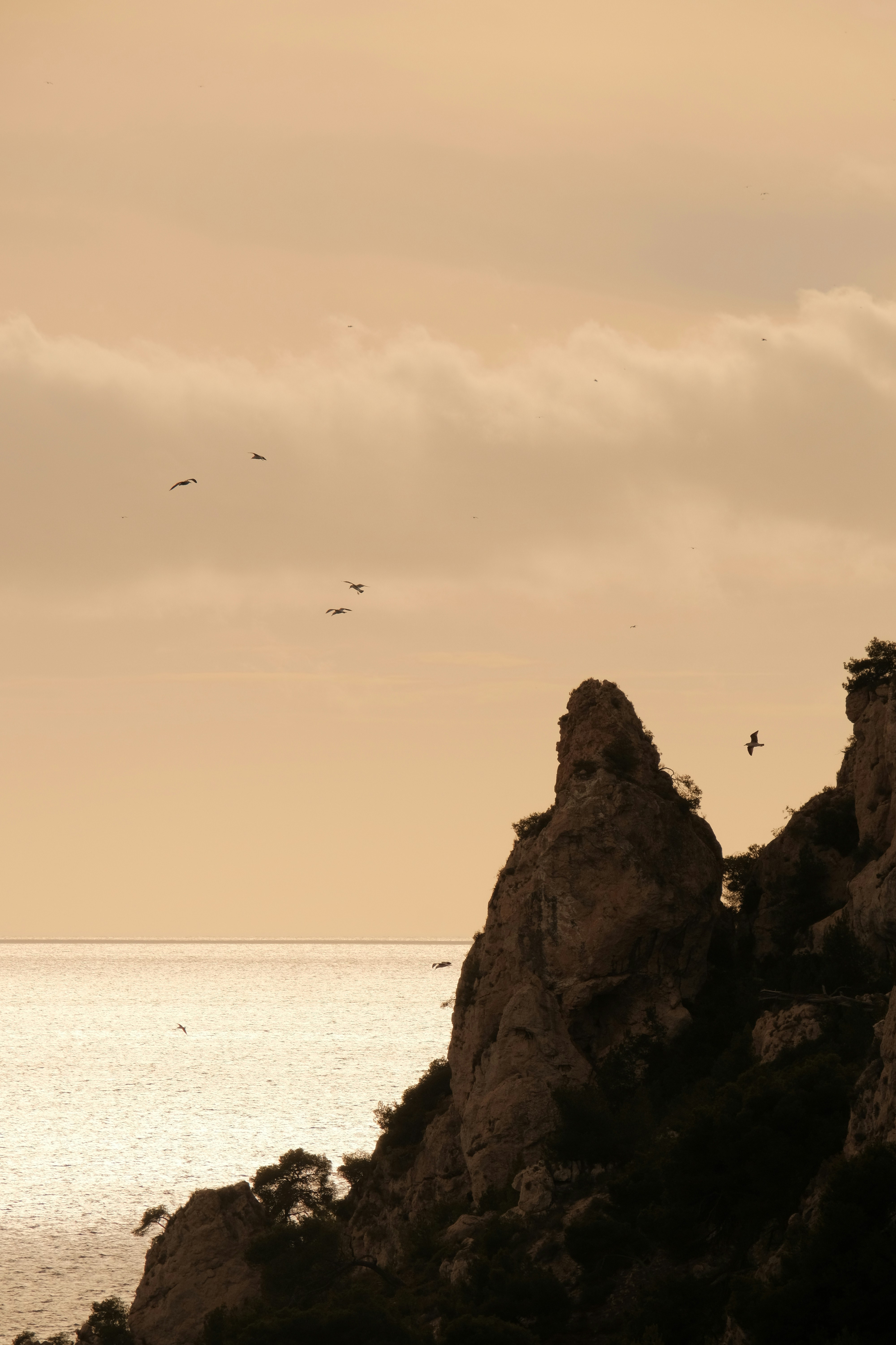 Silhouetted rocky outcrop against a serene seascape, with birds gliding above the shimmering water. 