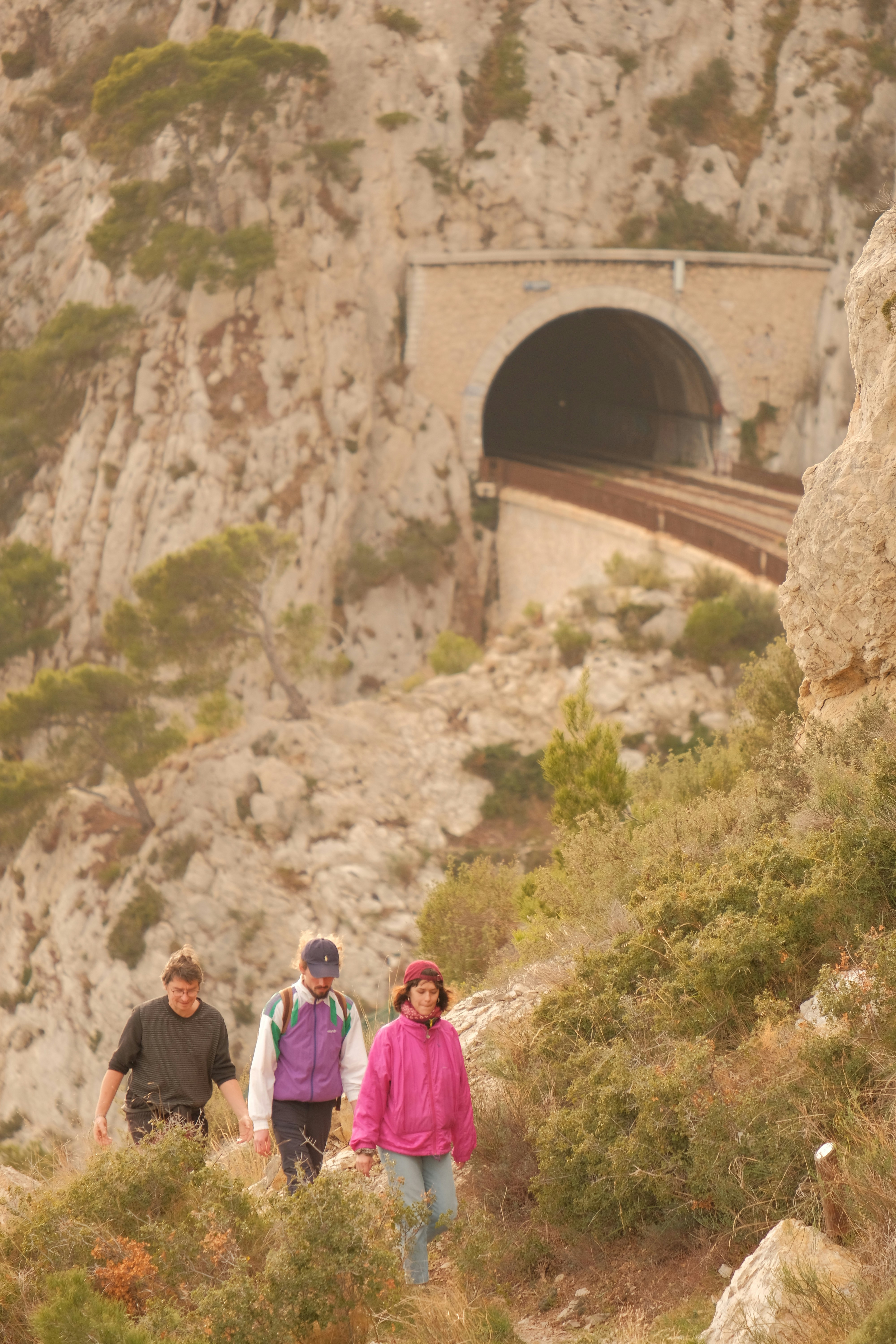 Trailblazers: Journey Through Rocky Terrain