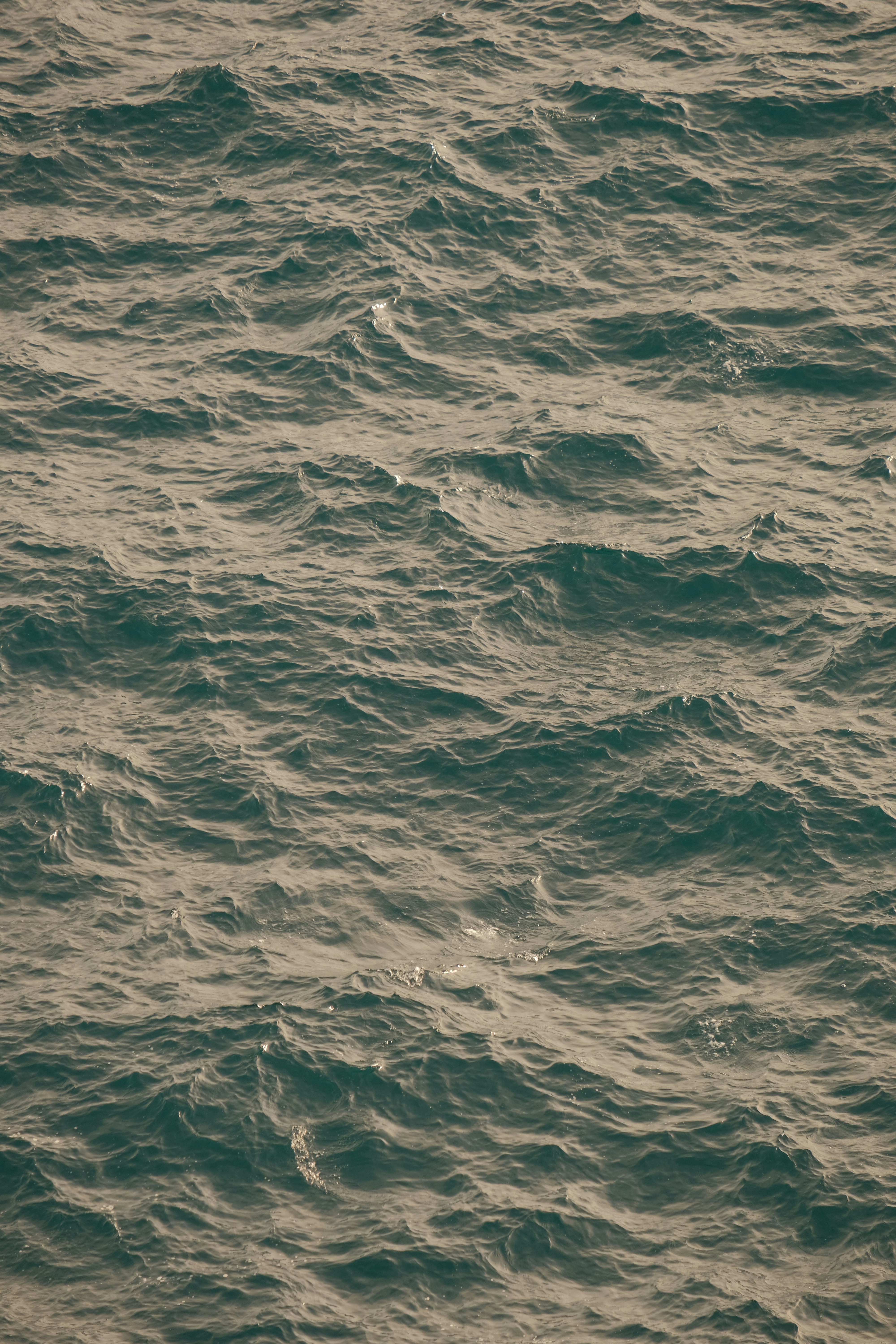 Rhythms of the Deep: A Sea's Undulating Dance
