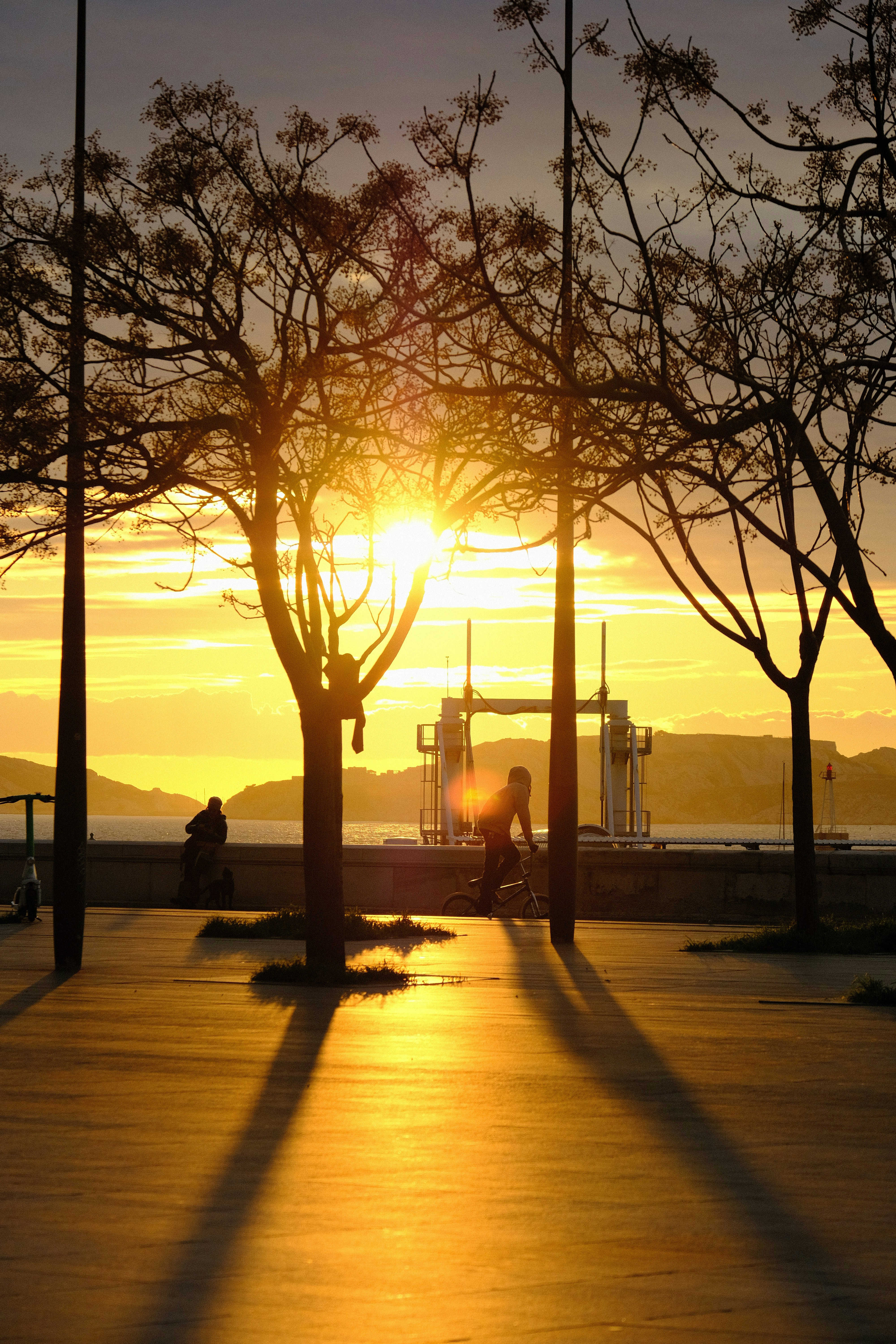 Sunset casts long shadows on a waterfront promenade.