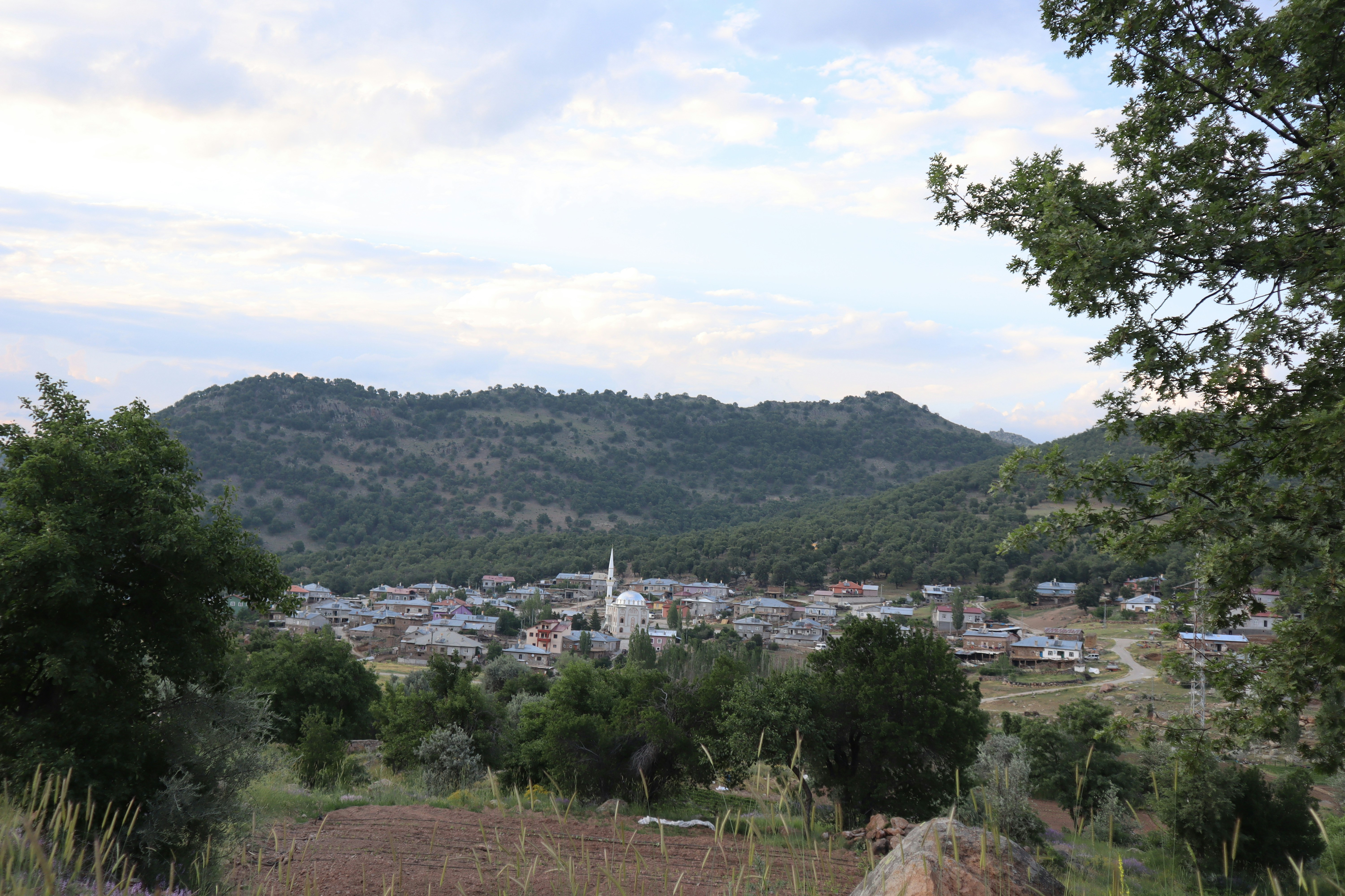 Serenity Amidst the Hills: A Quiet Village Retreat