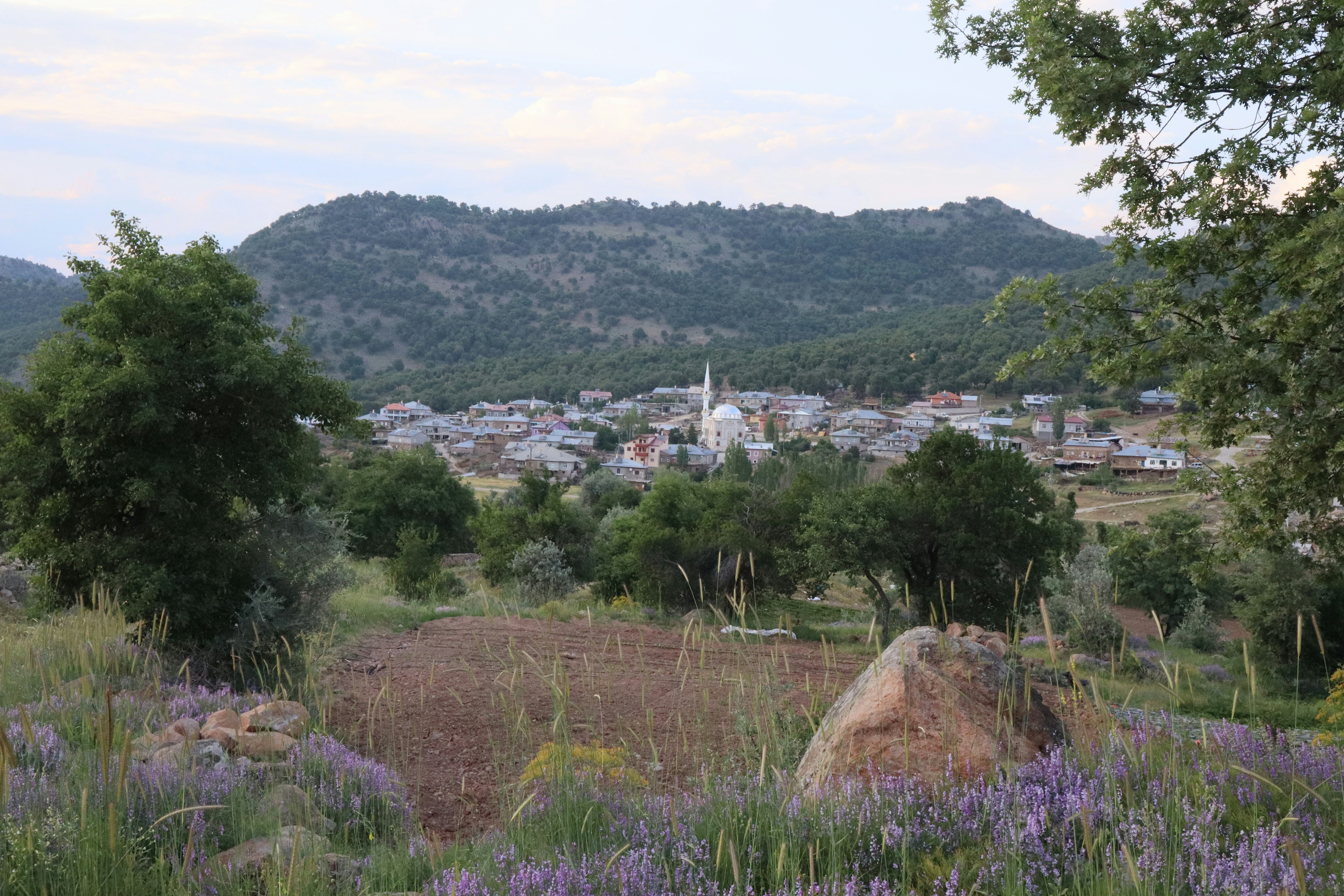 Whispers of a Mountain Village
