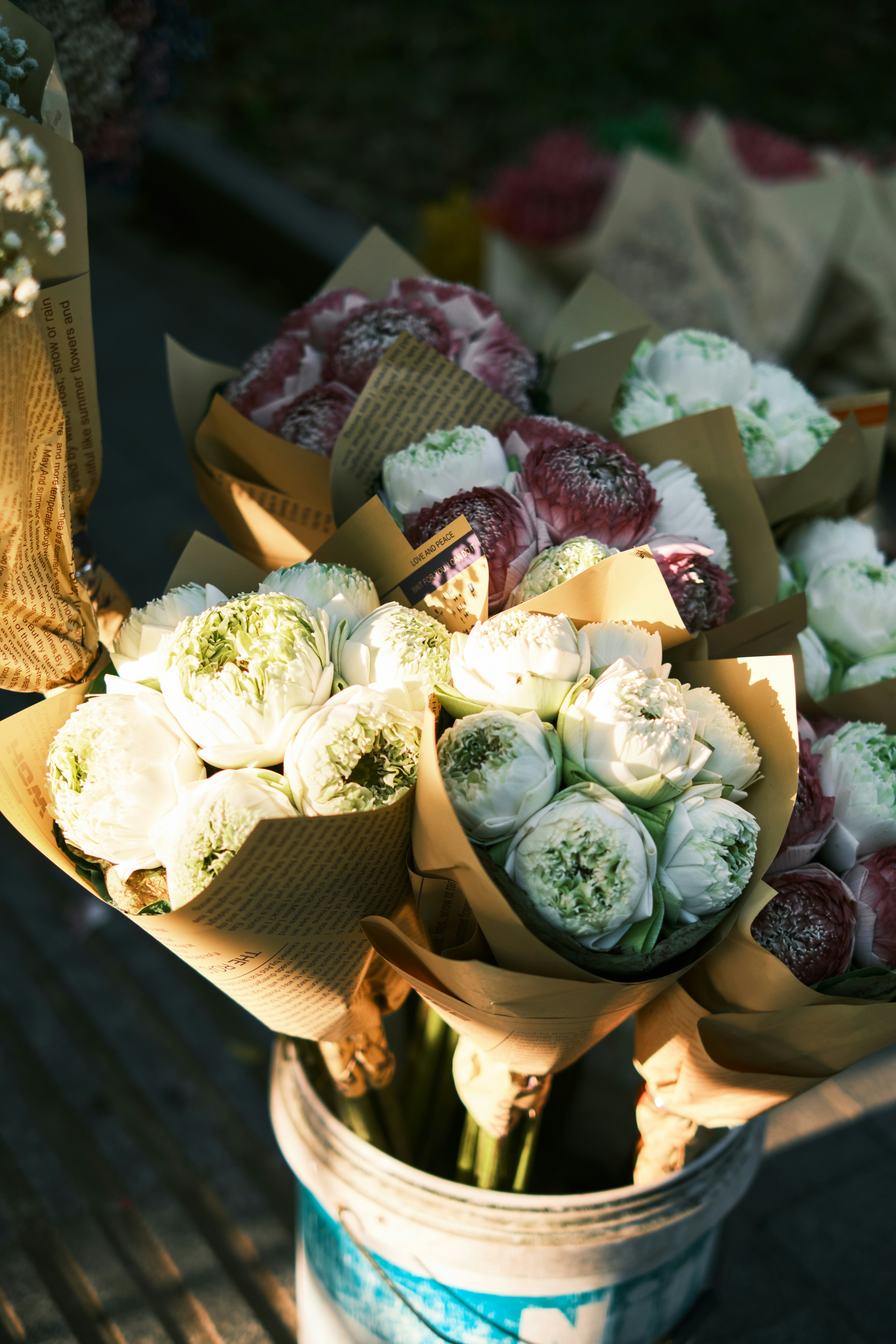 Whispers of Spring: A Floral Gathering