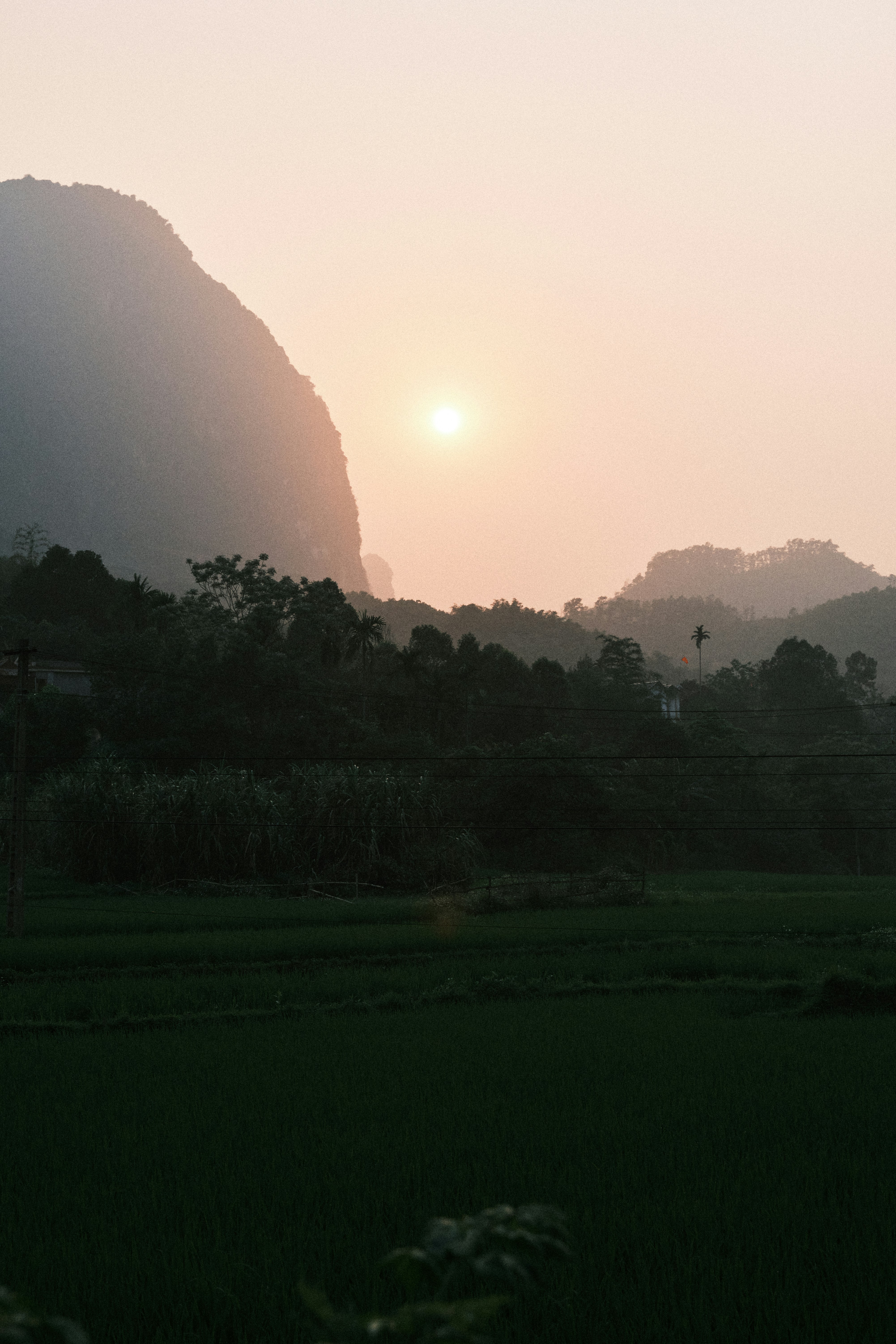 Whispers of Dusk Over Verdant Fields