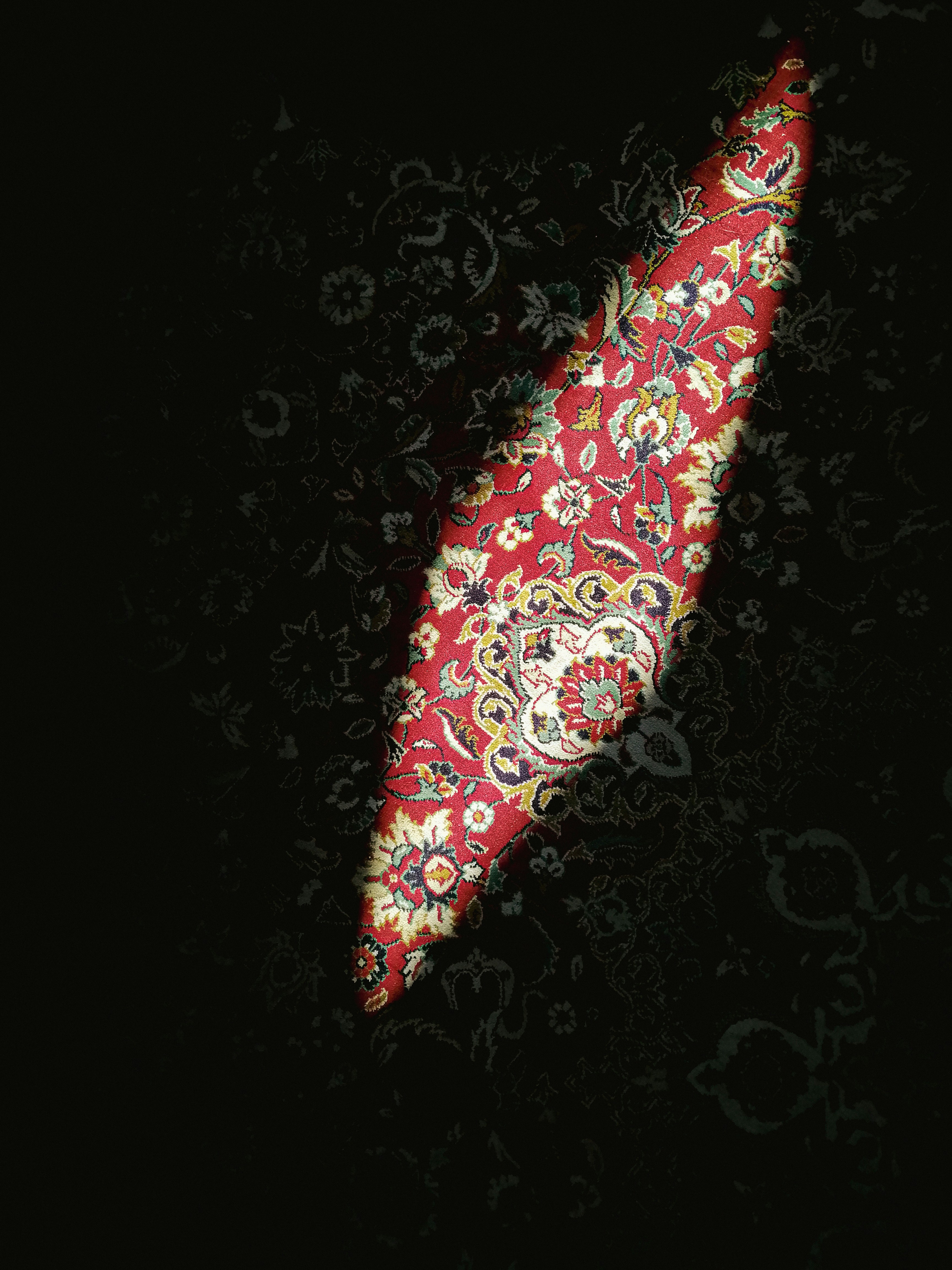 Sunlight falling on a Persian carpet, creating a sharp contrast between the bright floral patterns and the surrounding darkness. | Intricate floral pattern on a dark background