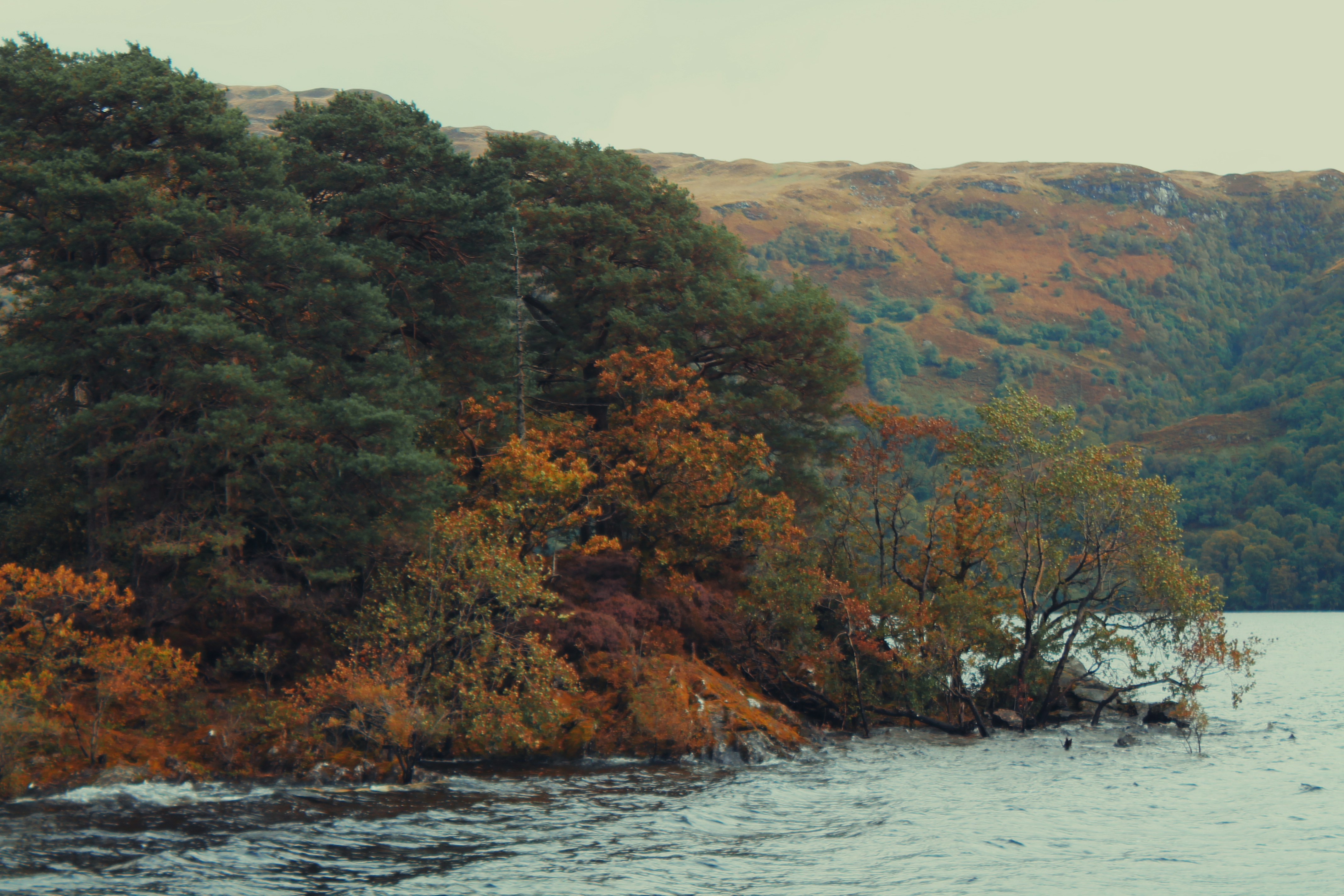 Autumn Edge by the Lake: Fire-Toned Trees Fringing Quiet Water
