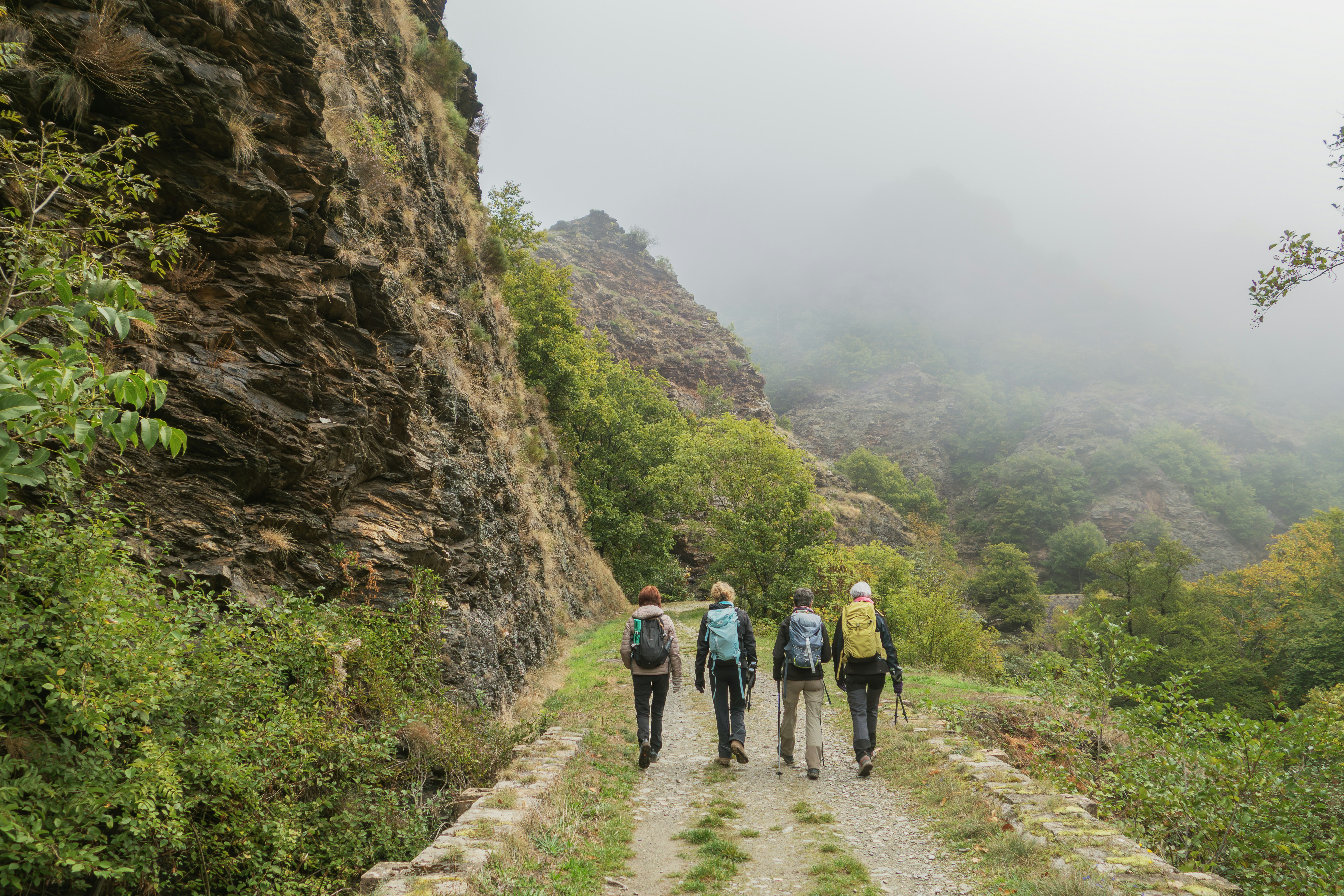 Four hikers navigate a winding path surrounded by lush greenery and rocky cliffs, enveloped in a mysterious fog.