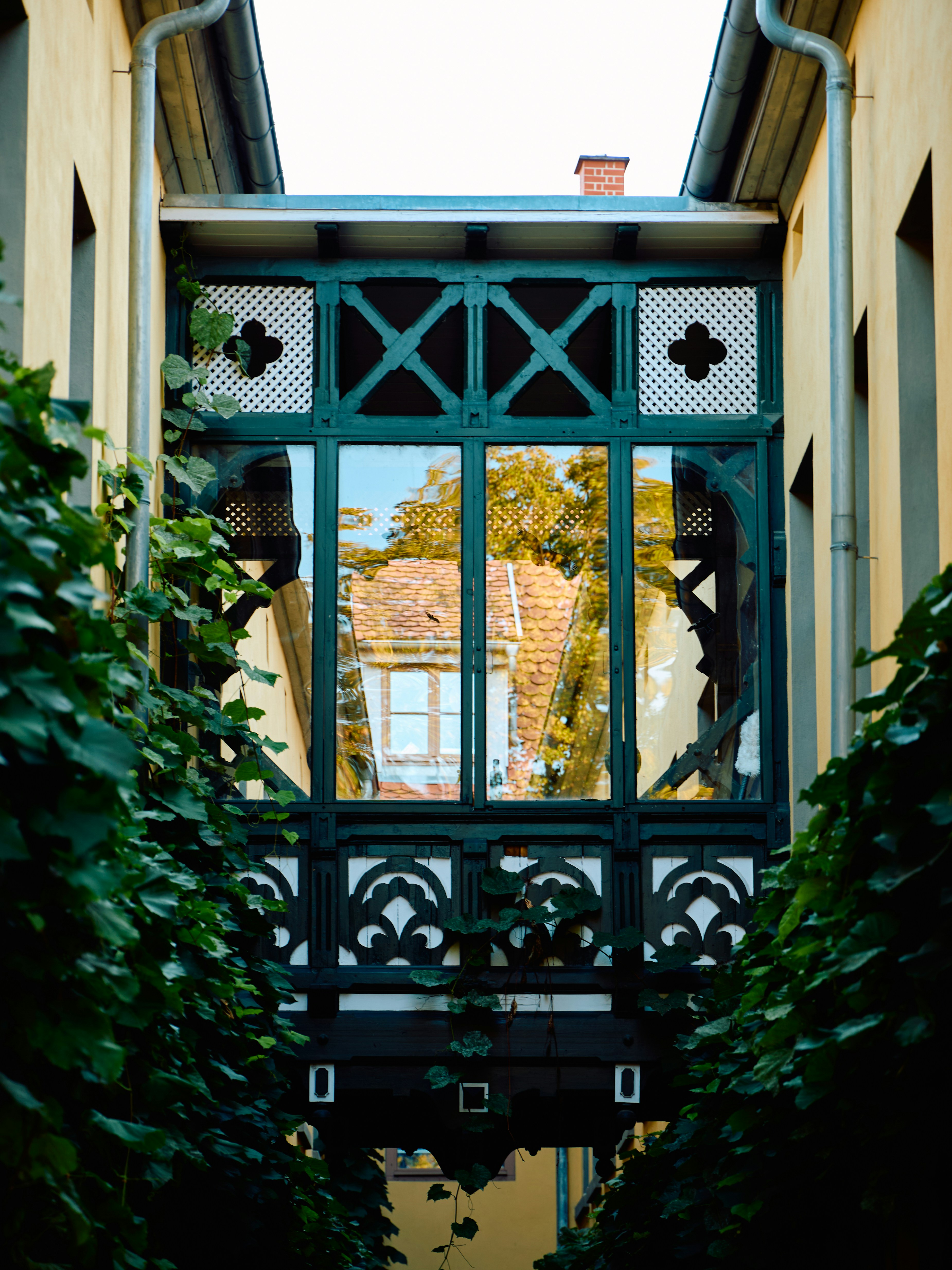 Photo by Niklas König with Canon EOS R8