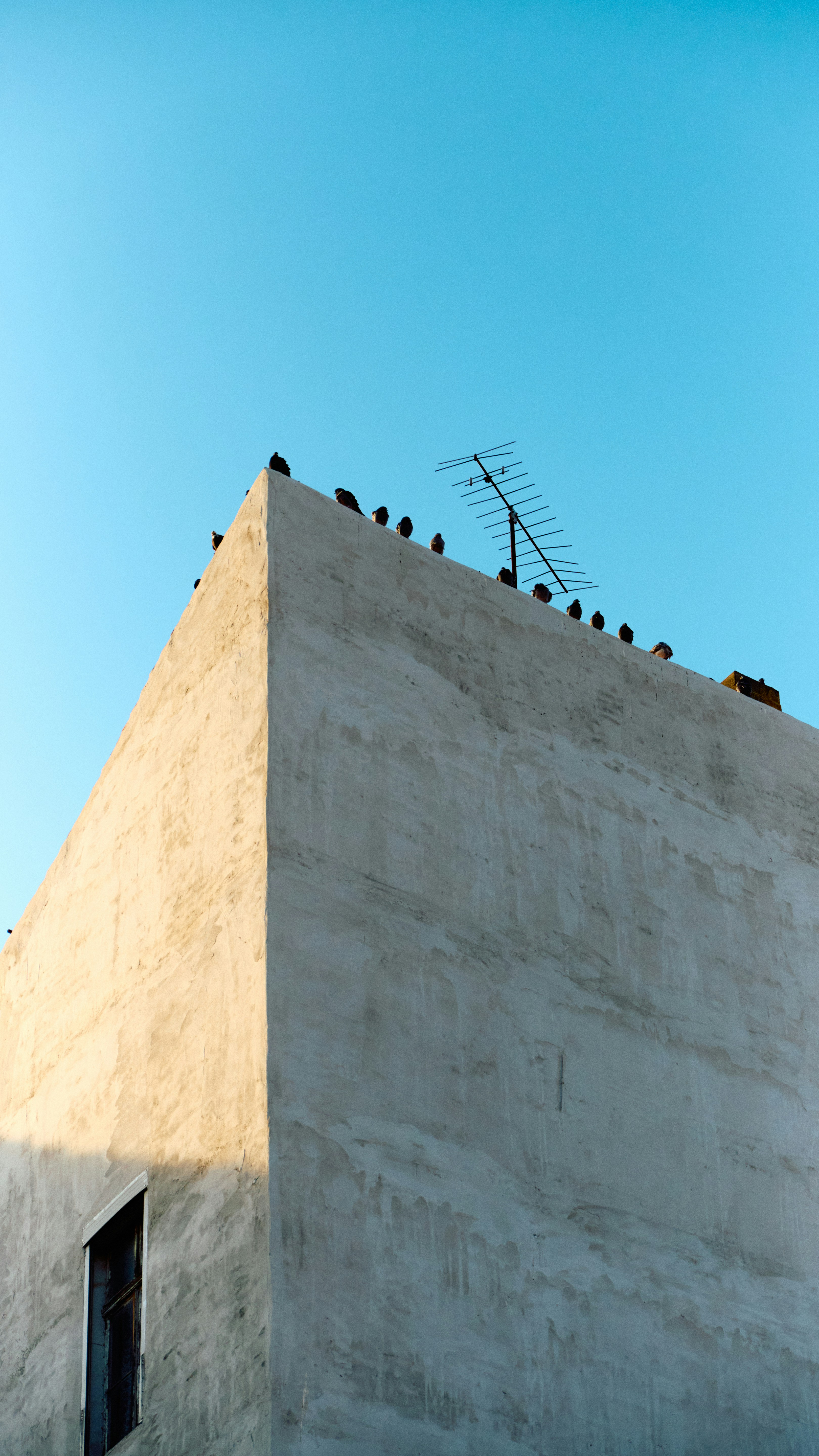 Photo by Niklas König with Canon EOS R8