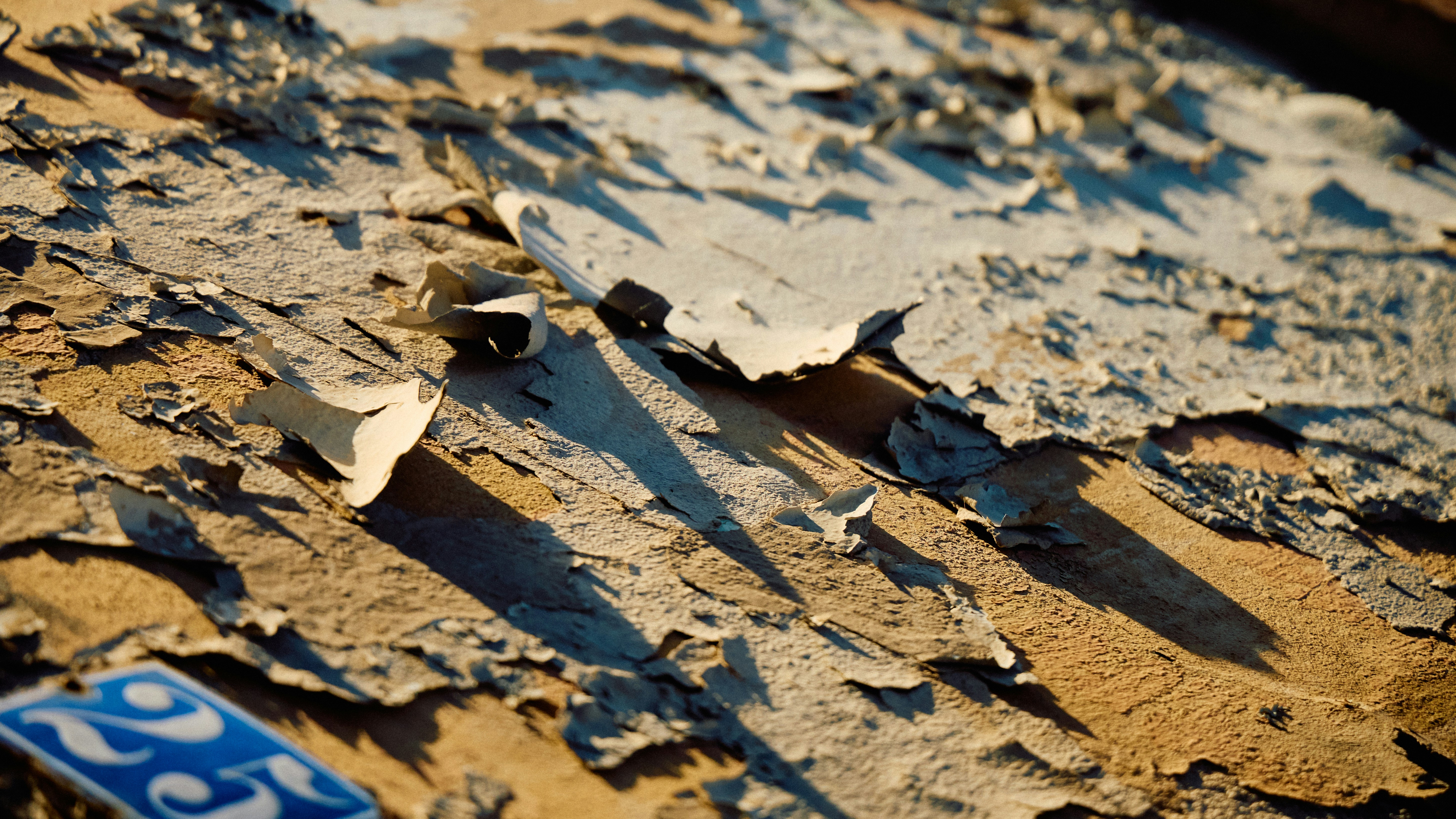 Close-up of peeling paint and textured surface