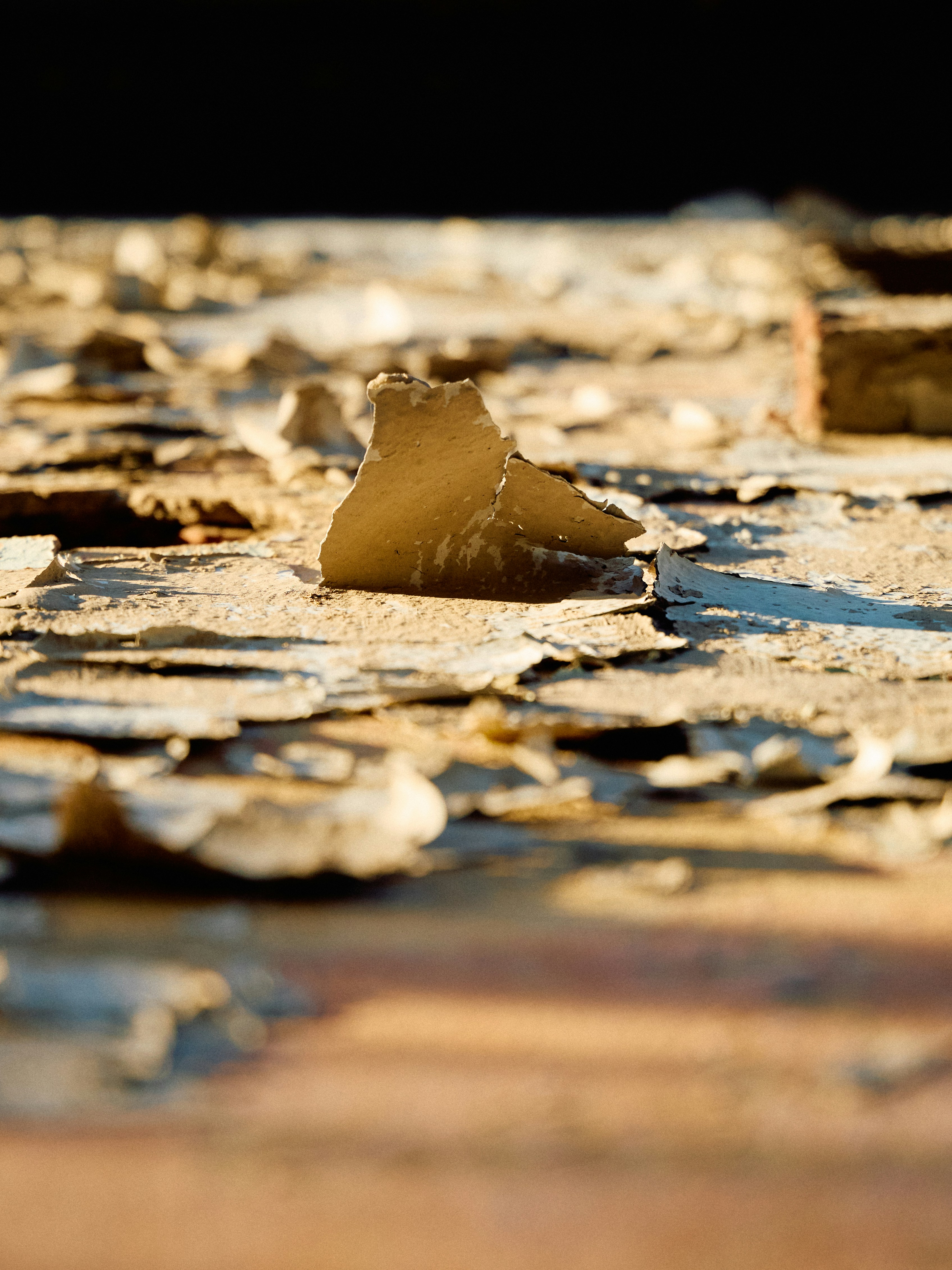 Layers of Time: A Study in Decay