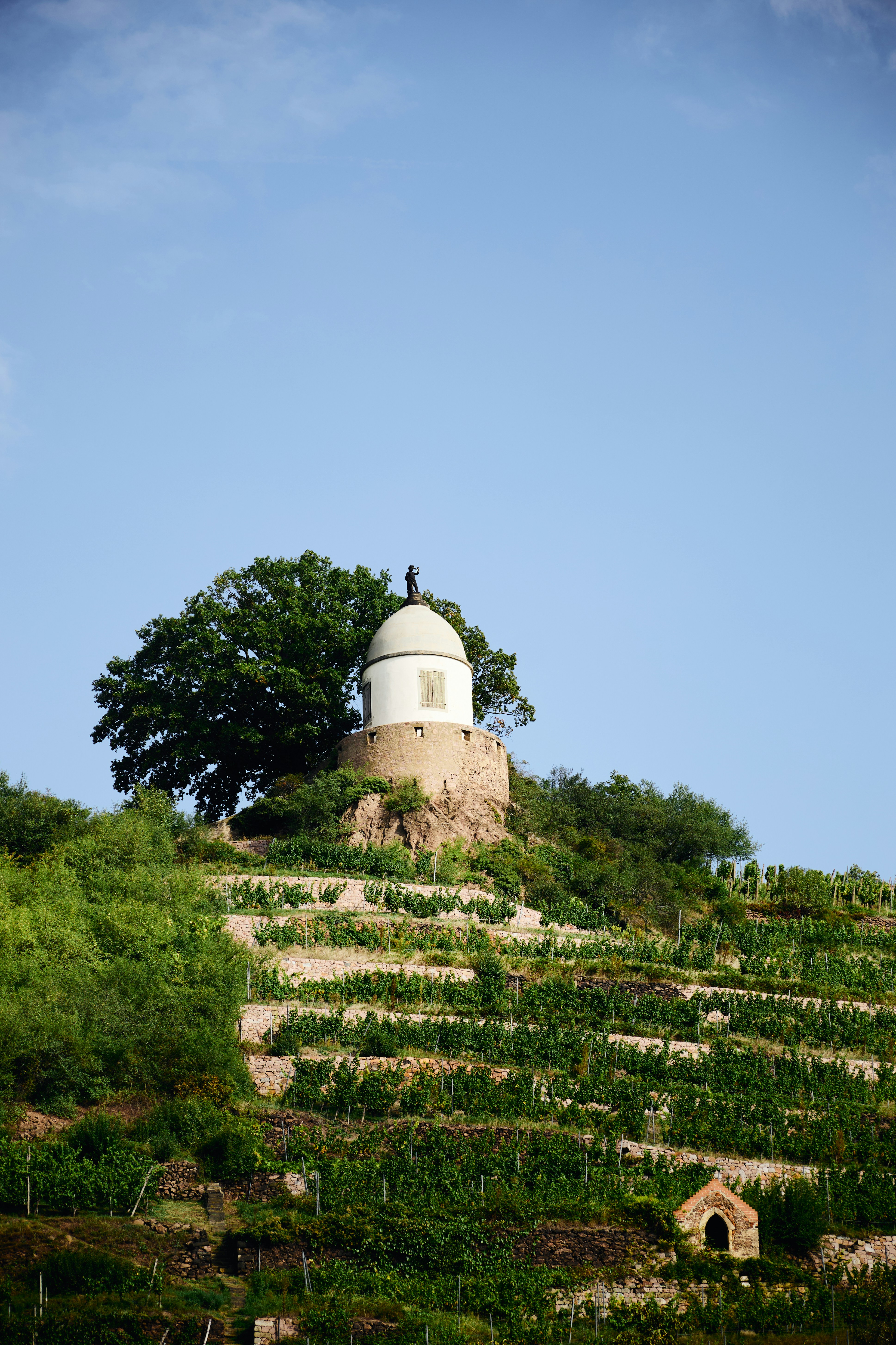 Vineyard Crown: White-Domed Chapel at the Crest of Terraced Hills