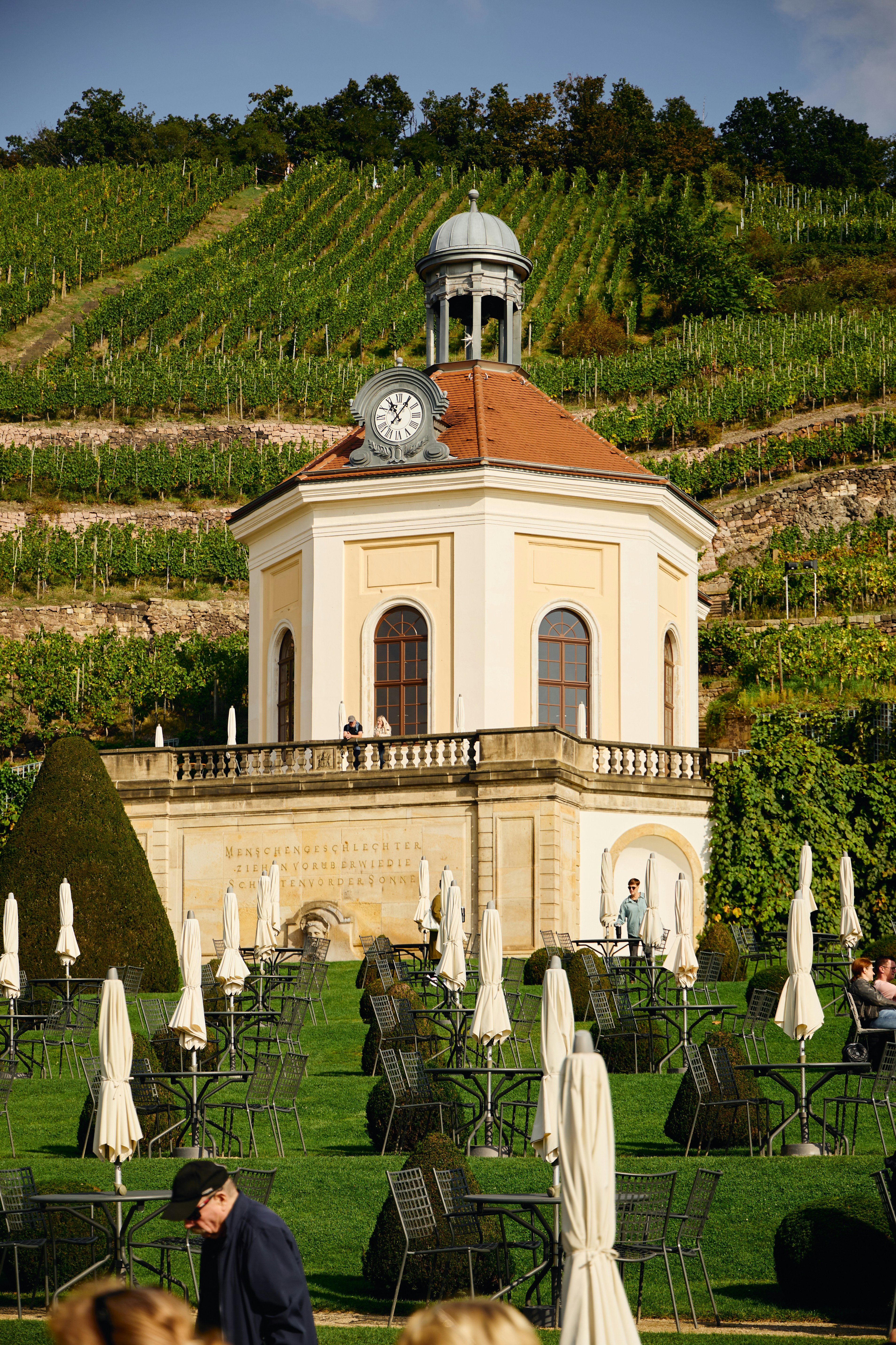 The Vineyard Pavilion: A Harmony of Nature and Architecture