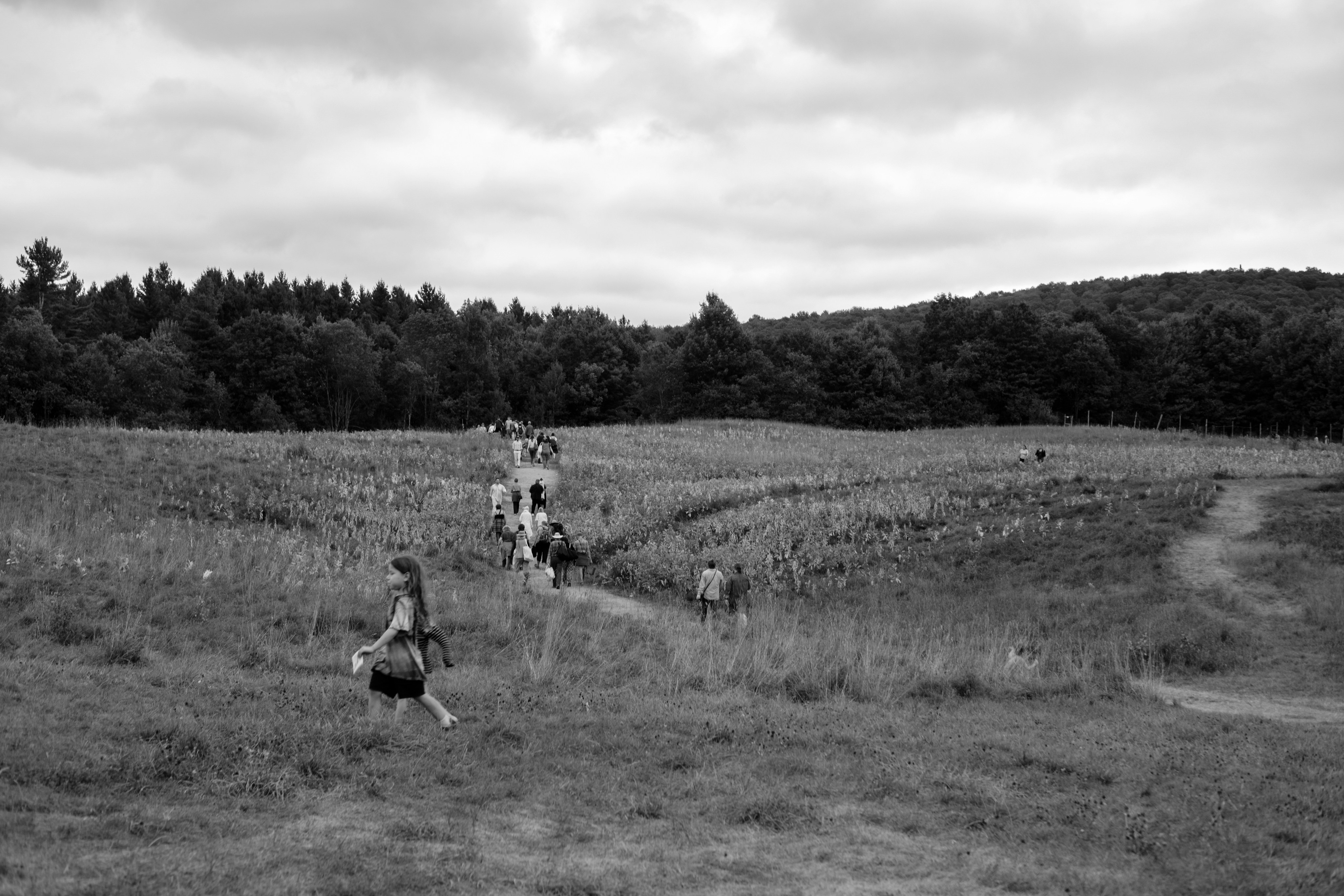 Children walk on a path through a grassy field.